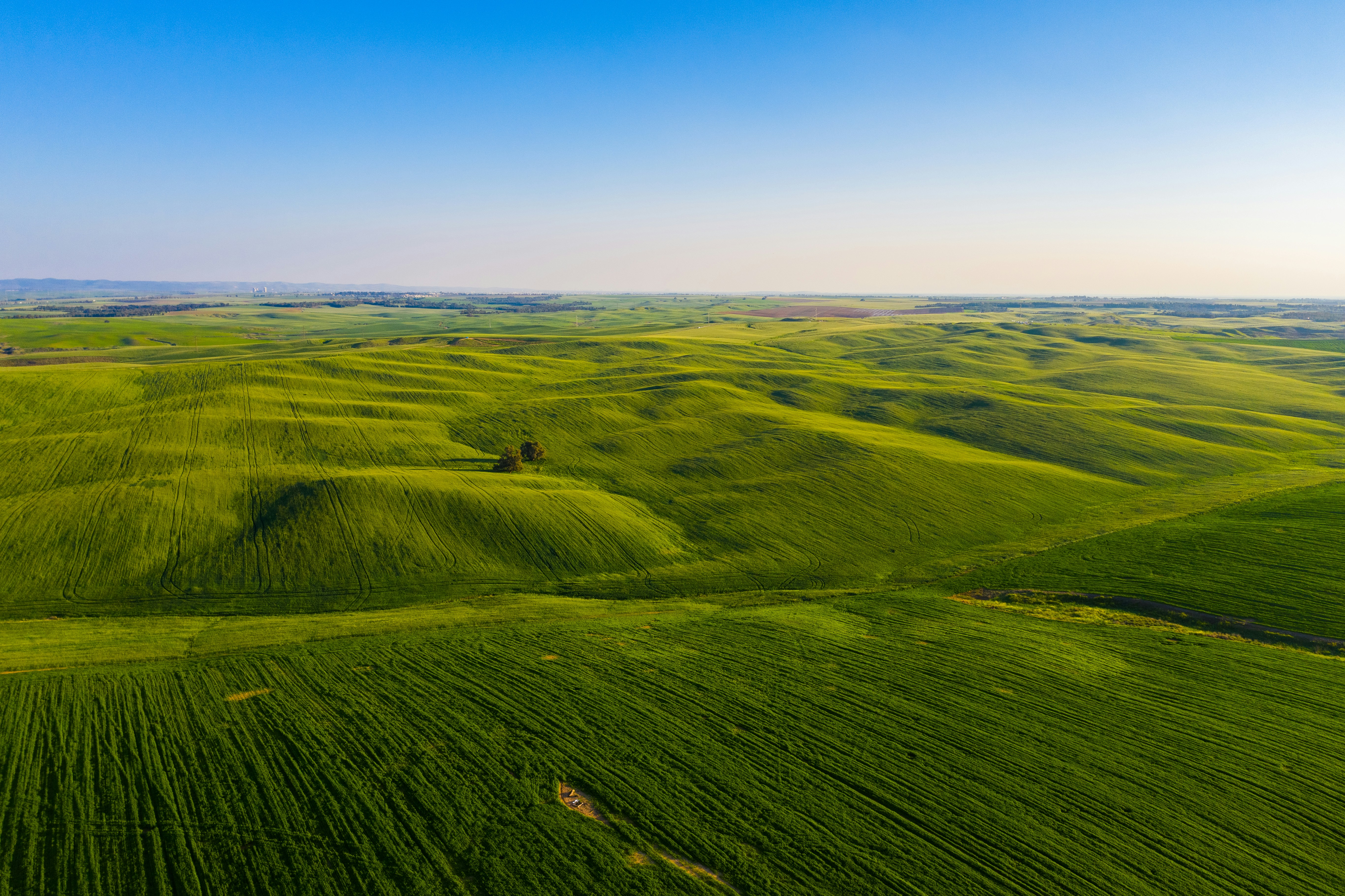 Rolling Green Hills Under a Clear Horizon