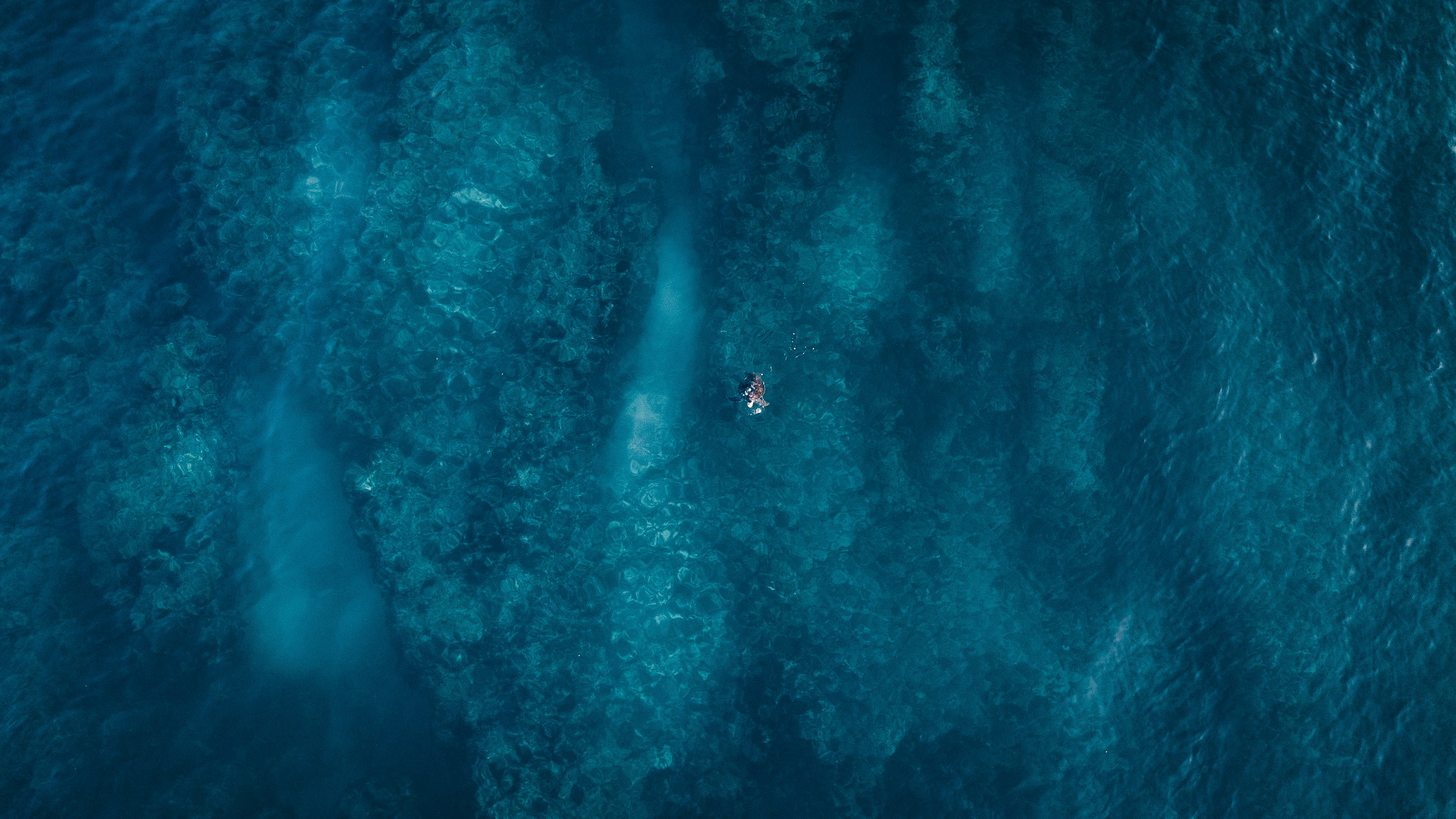 A lone swimmer glides over vibrant coral formations in crystal-clear waters, showcasing the beauty of marine life from above.