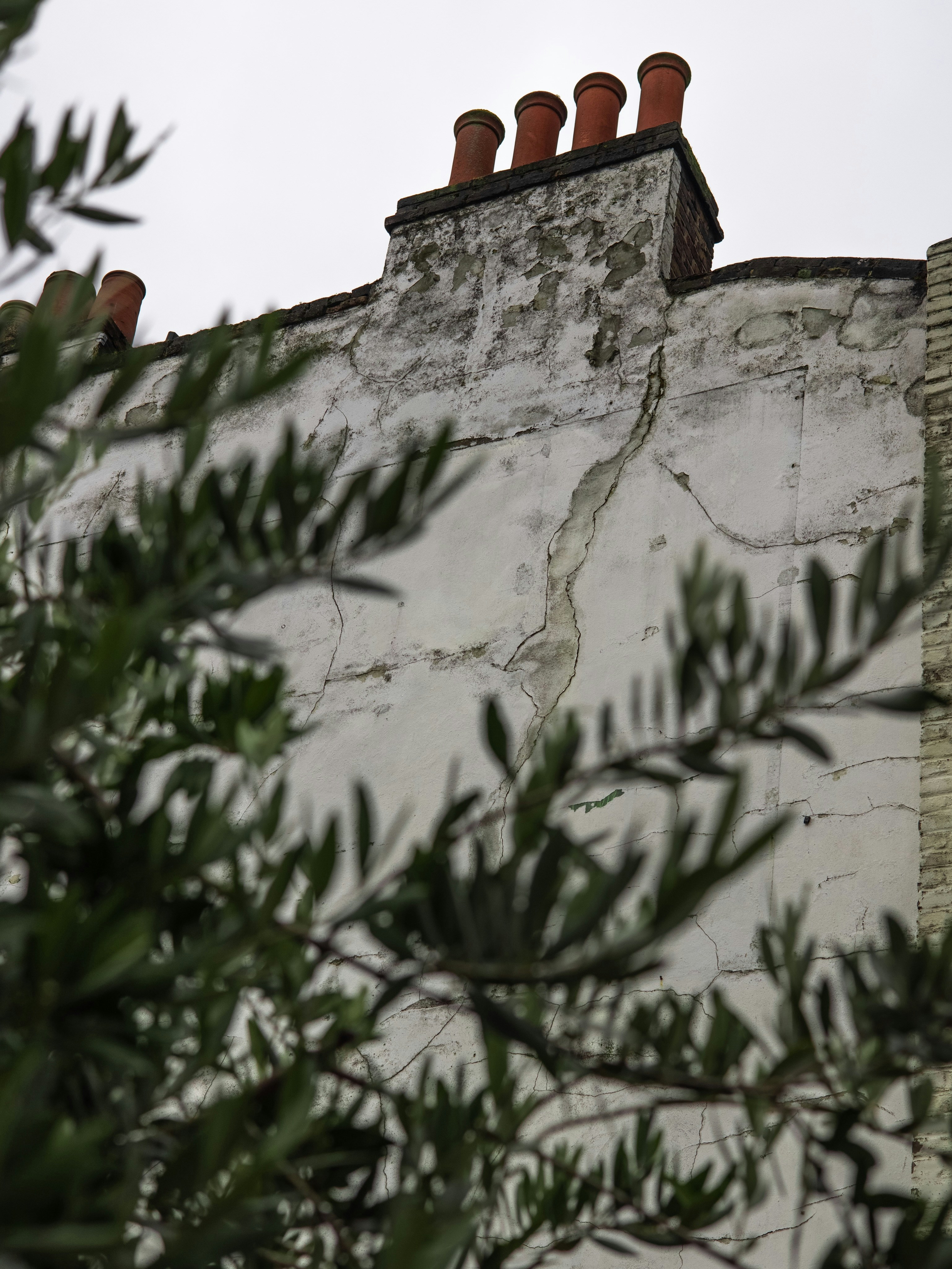 Weathered wall adorned with chimney pots, partially obscured by lush greenery. The contrast highlights urban decay meeting nature's resilience.