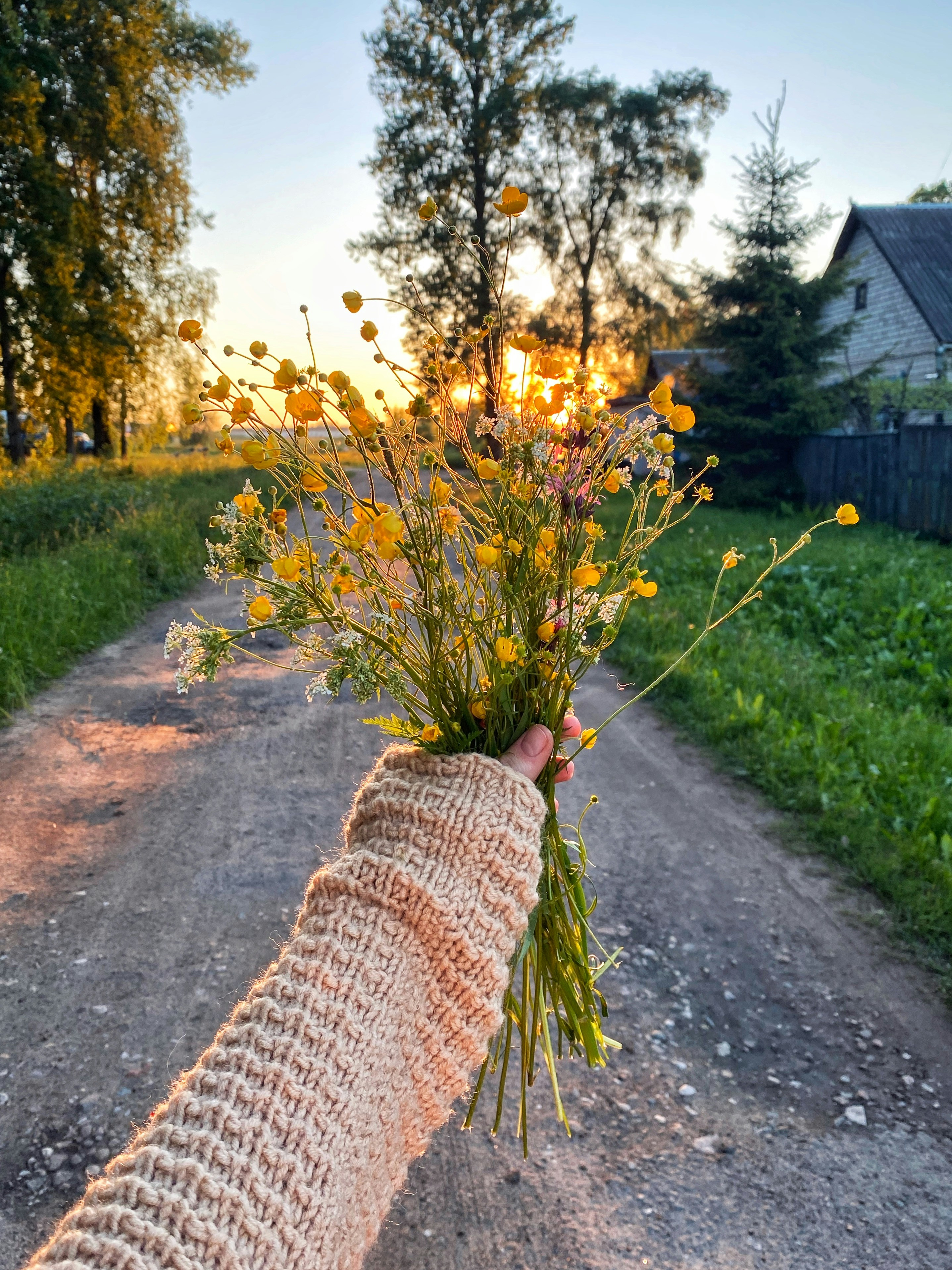 Dusk Bouquet on a Gravel Country Road