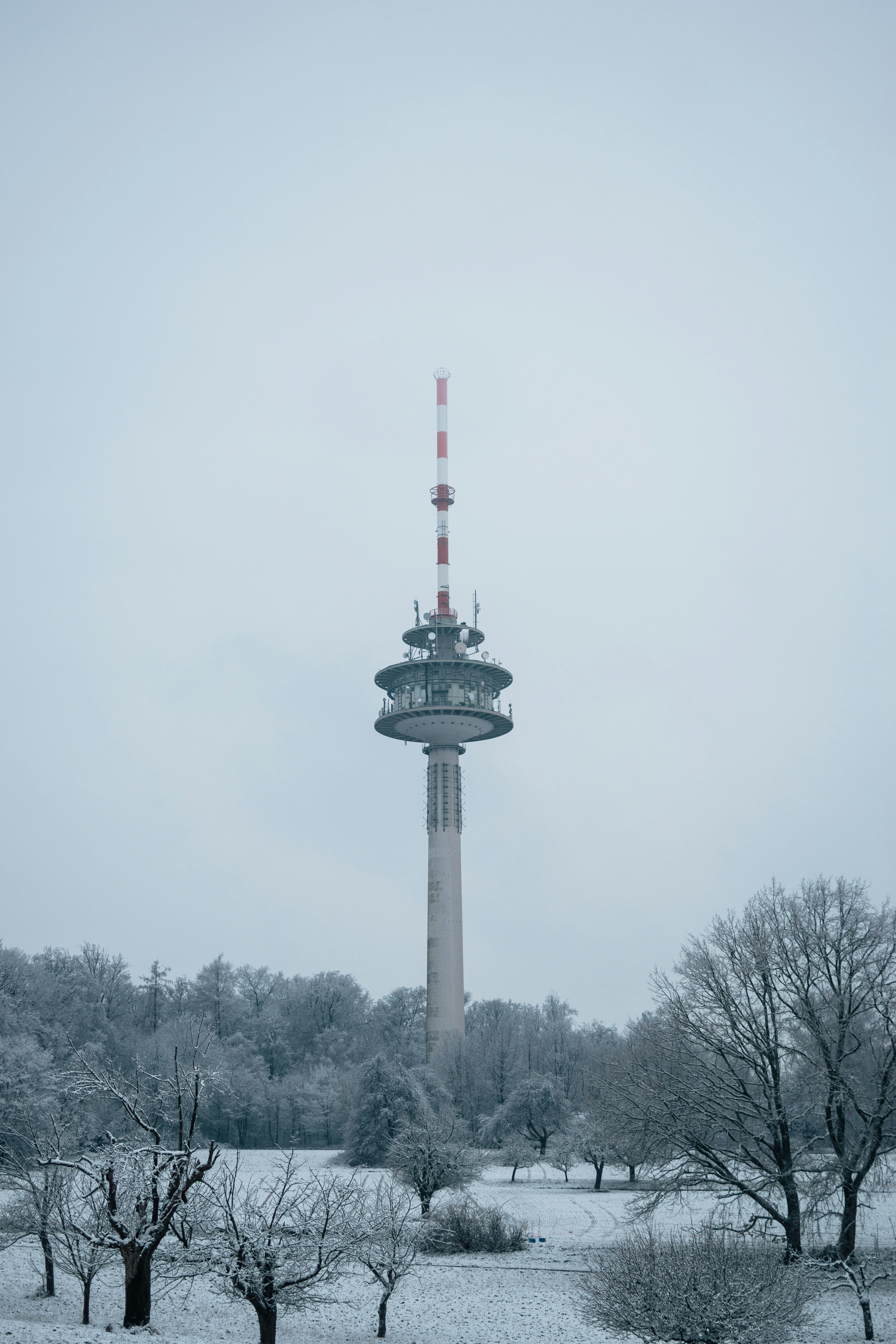 Snowbound Spire Rising Over a Frosted Park