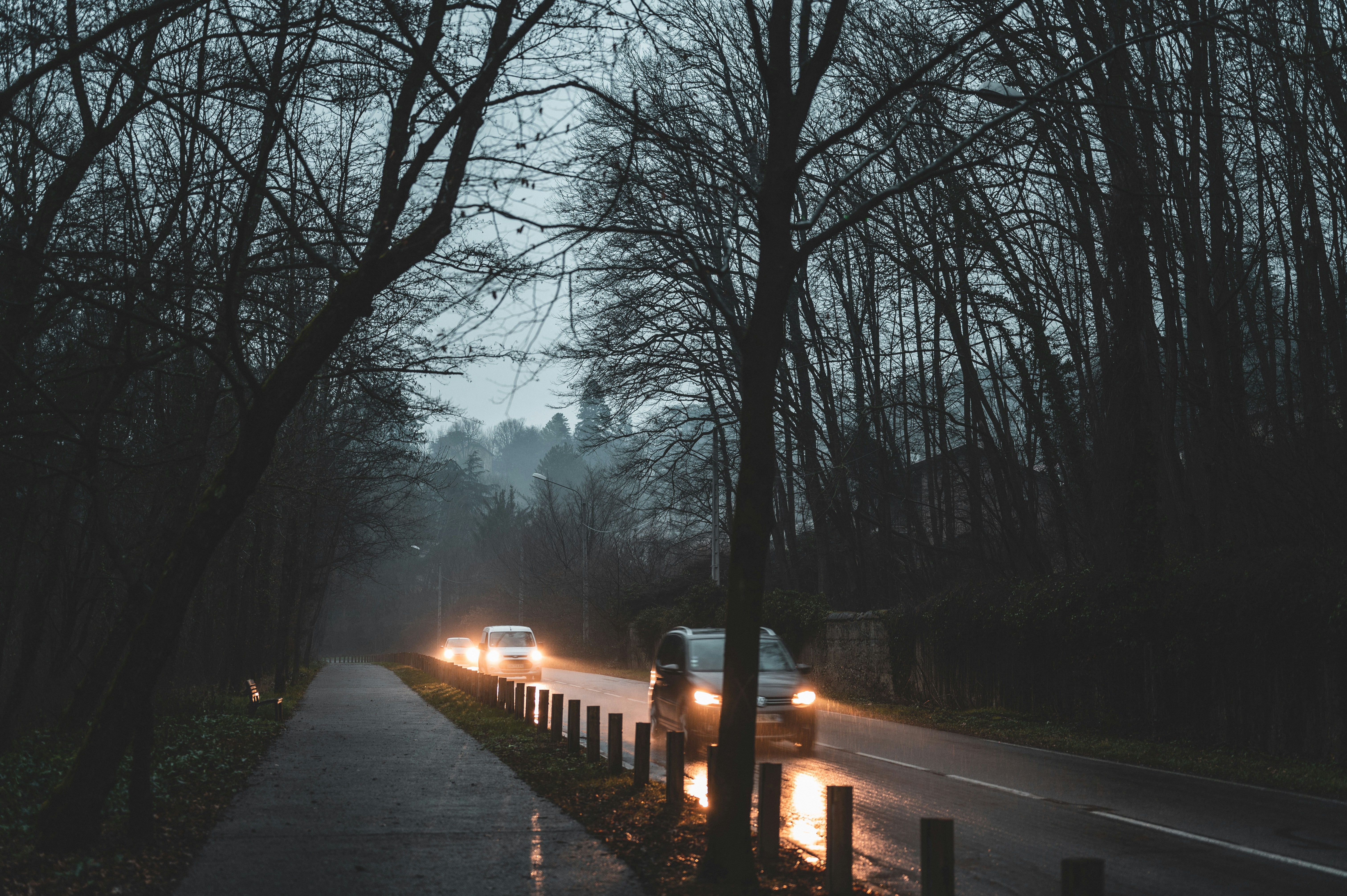 Cars navigate a dimly lit road flanked by bare trees in a misty atmosphere. The scene evokes a sense of solitude and introspection.