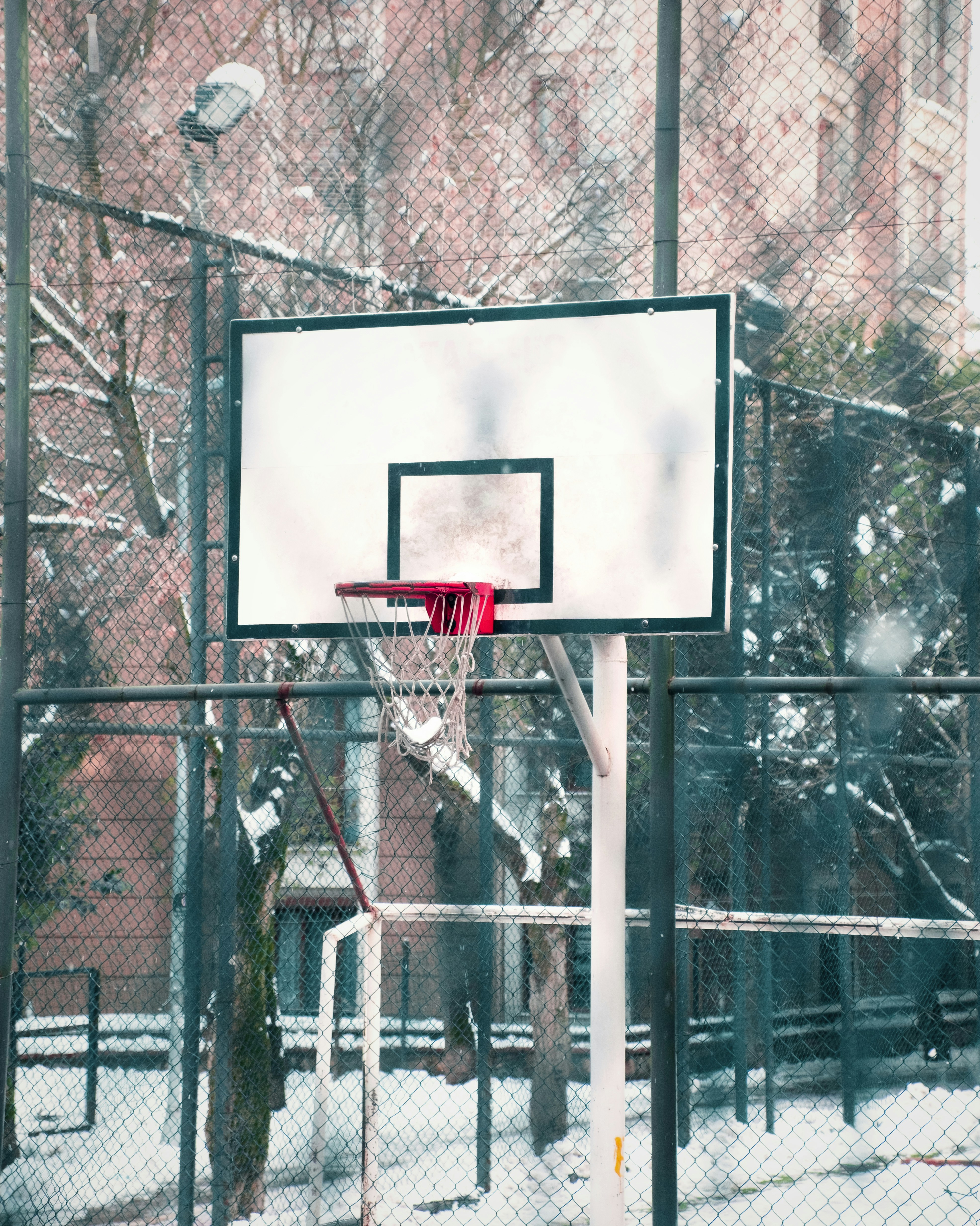 A basketball hoop stands in a snowy court, surrounded by a chain-link fence and frosty trees, evoking a sense of stillness in winter. The scene captures the contrast between sport and nature's quiet beauty.