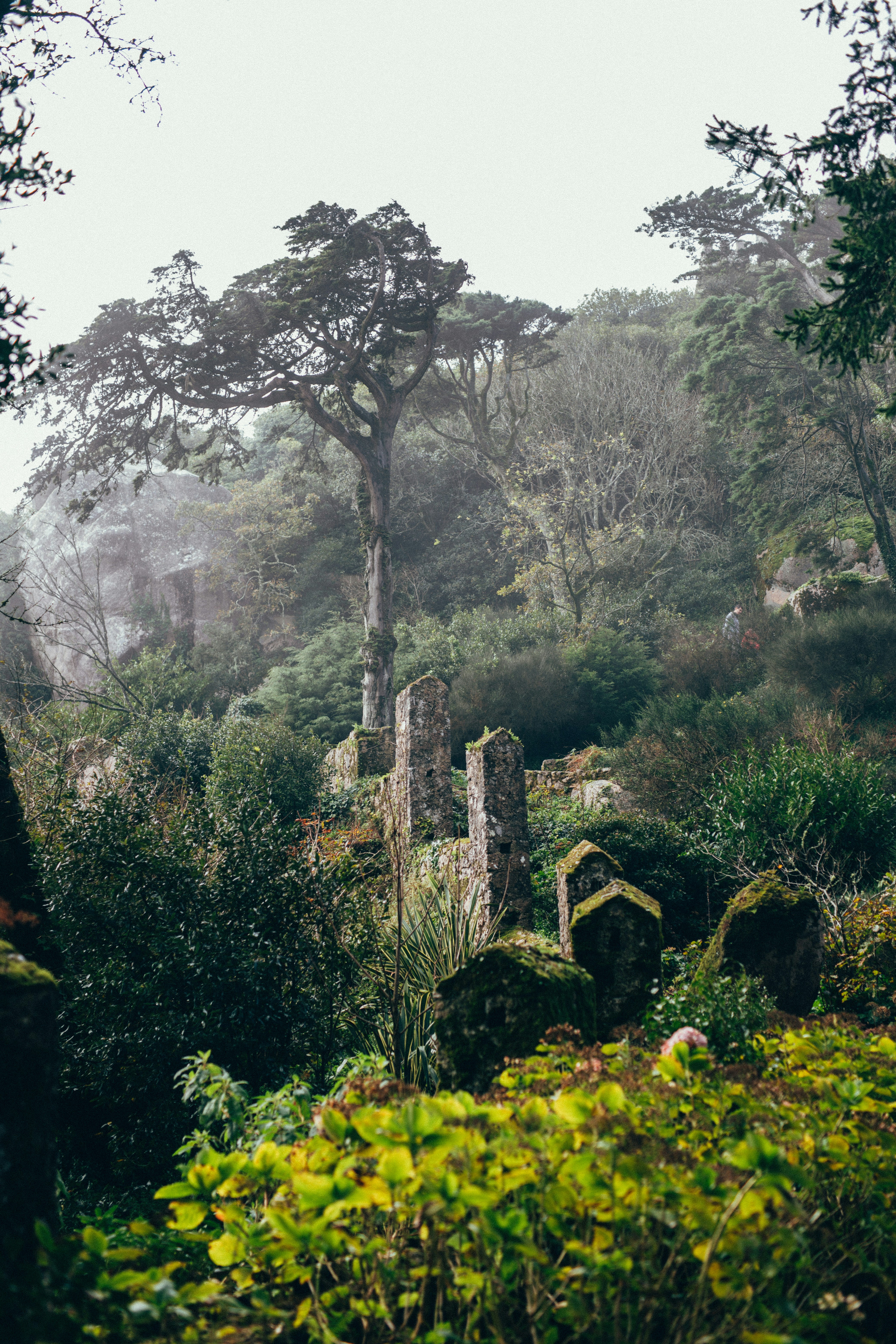 Midevil Pictures | Download Free Images on Unsplash
