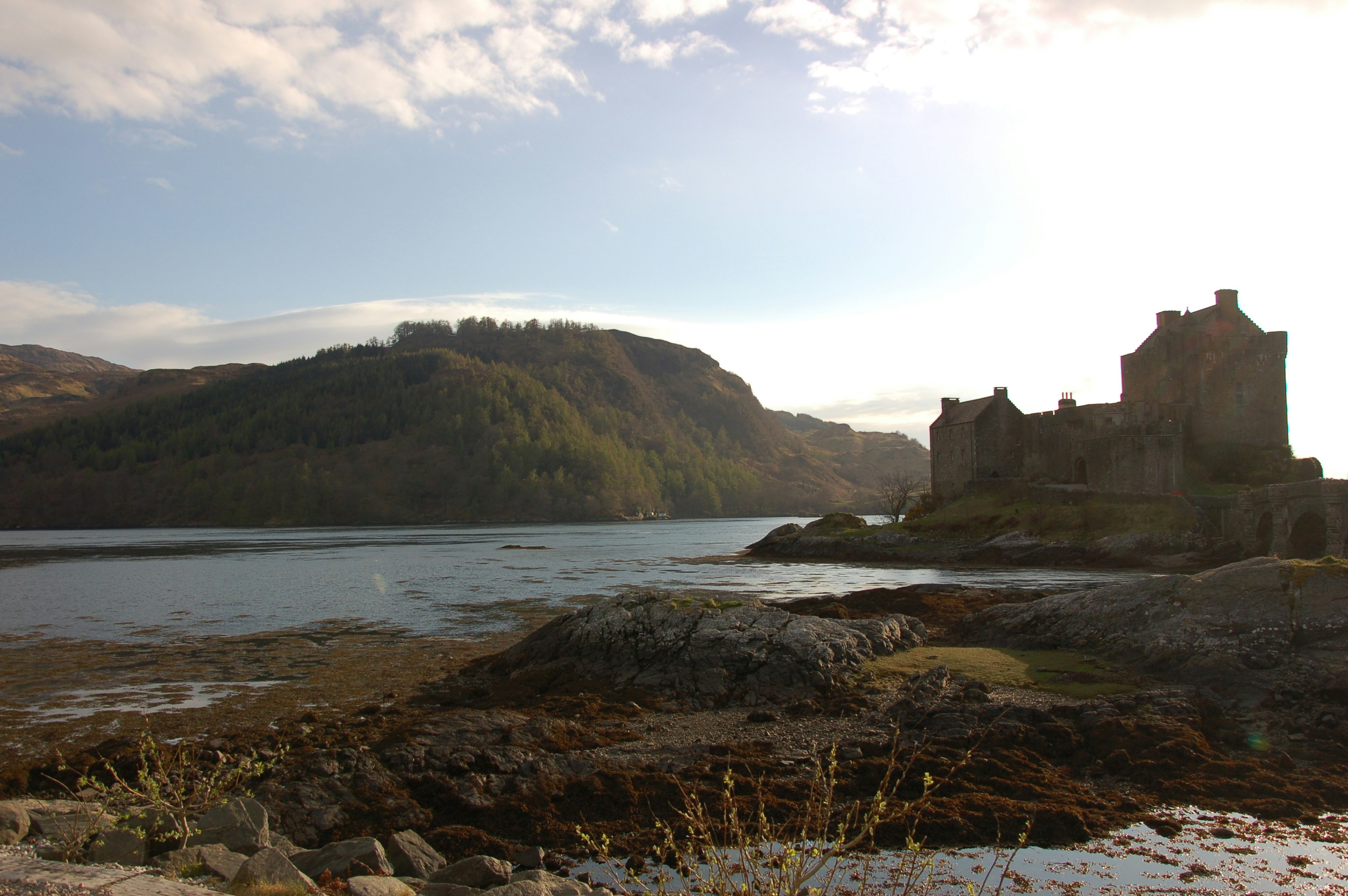 Castle on the Shore: Ruins Embraced by the Quiet Tide