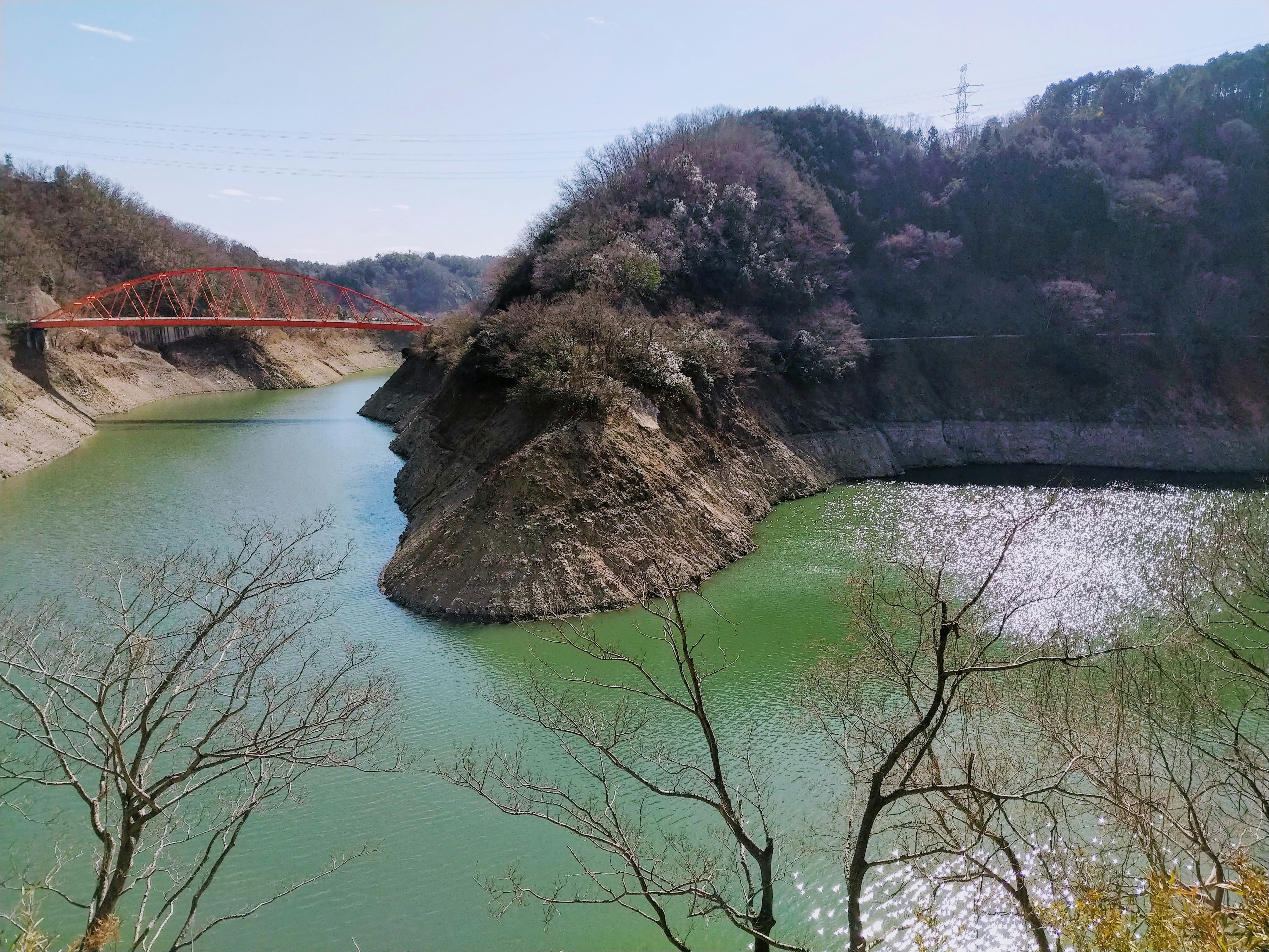 D Konishi (@zephyr1100) | Unsplash Photo Community