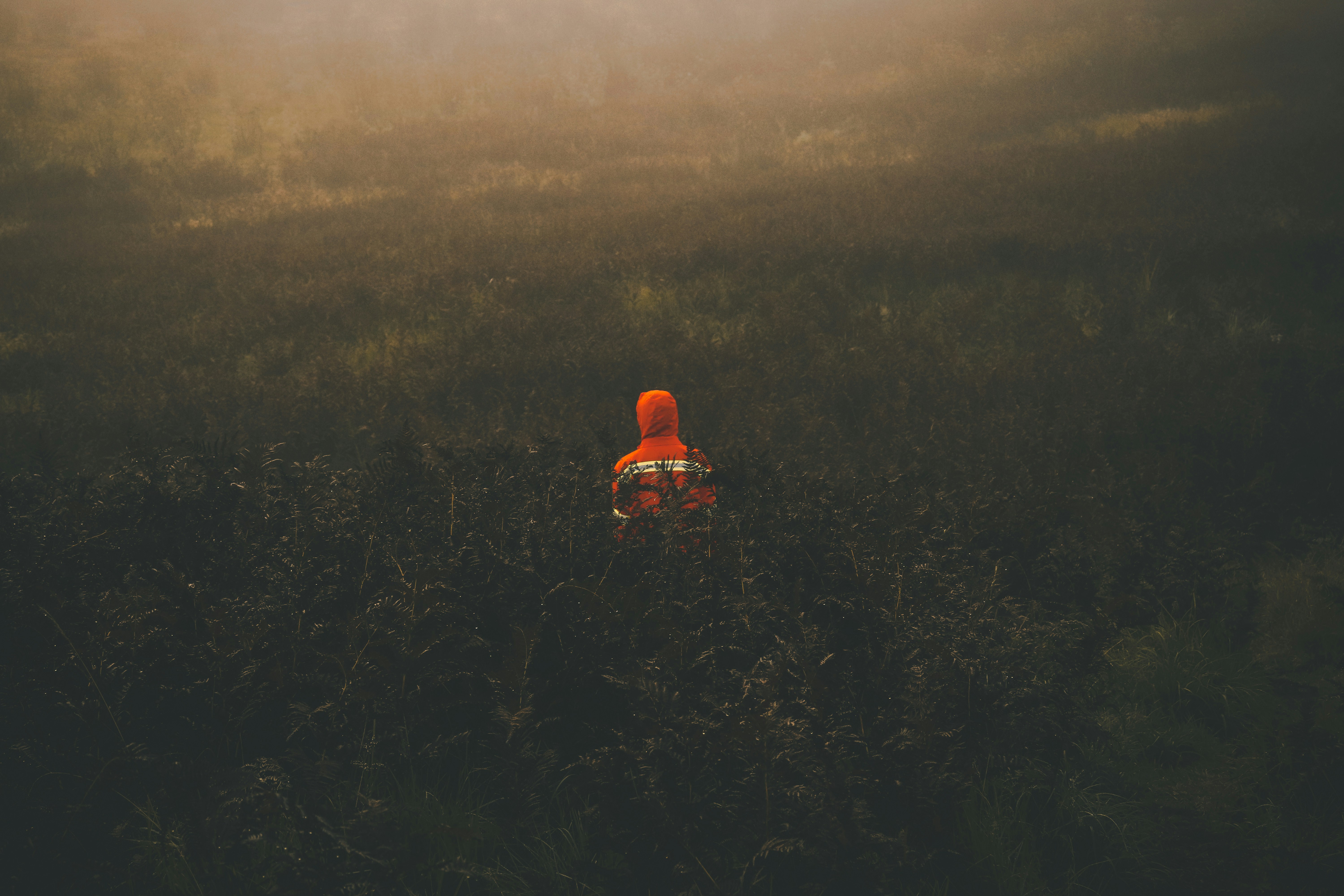 Amber Hooded Figure in a Quiet Dusk Field