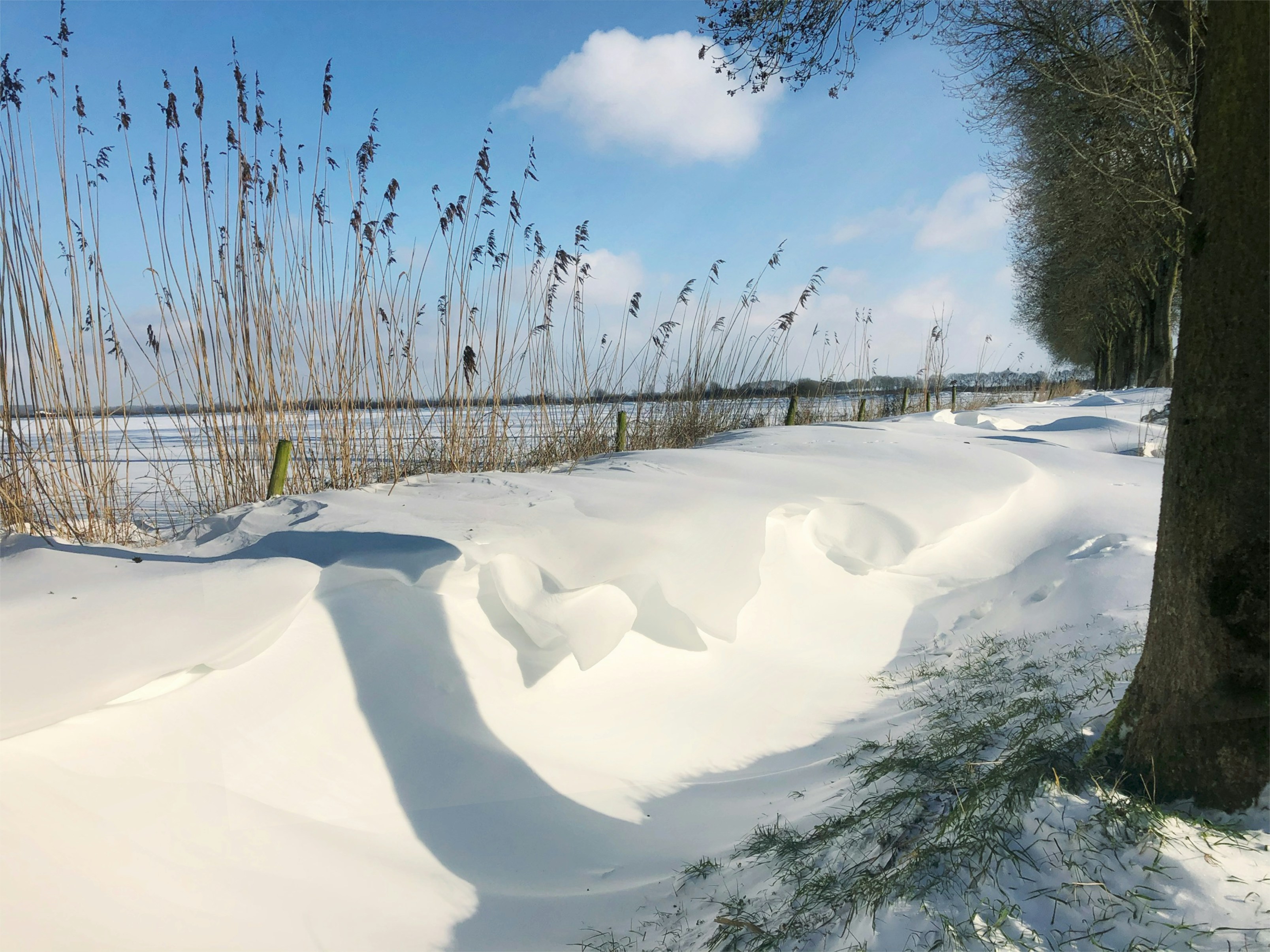 Ingrid Ensing (@ingridensing) | Unsplashフォトコミュニティ