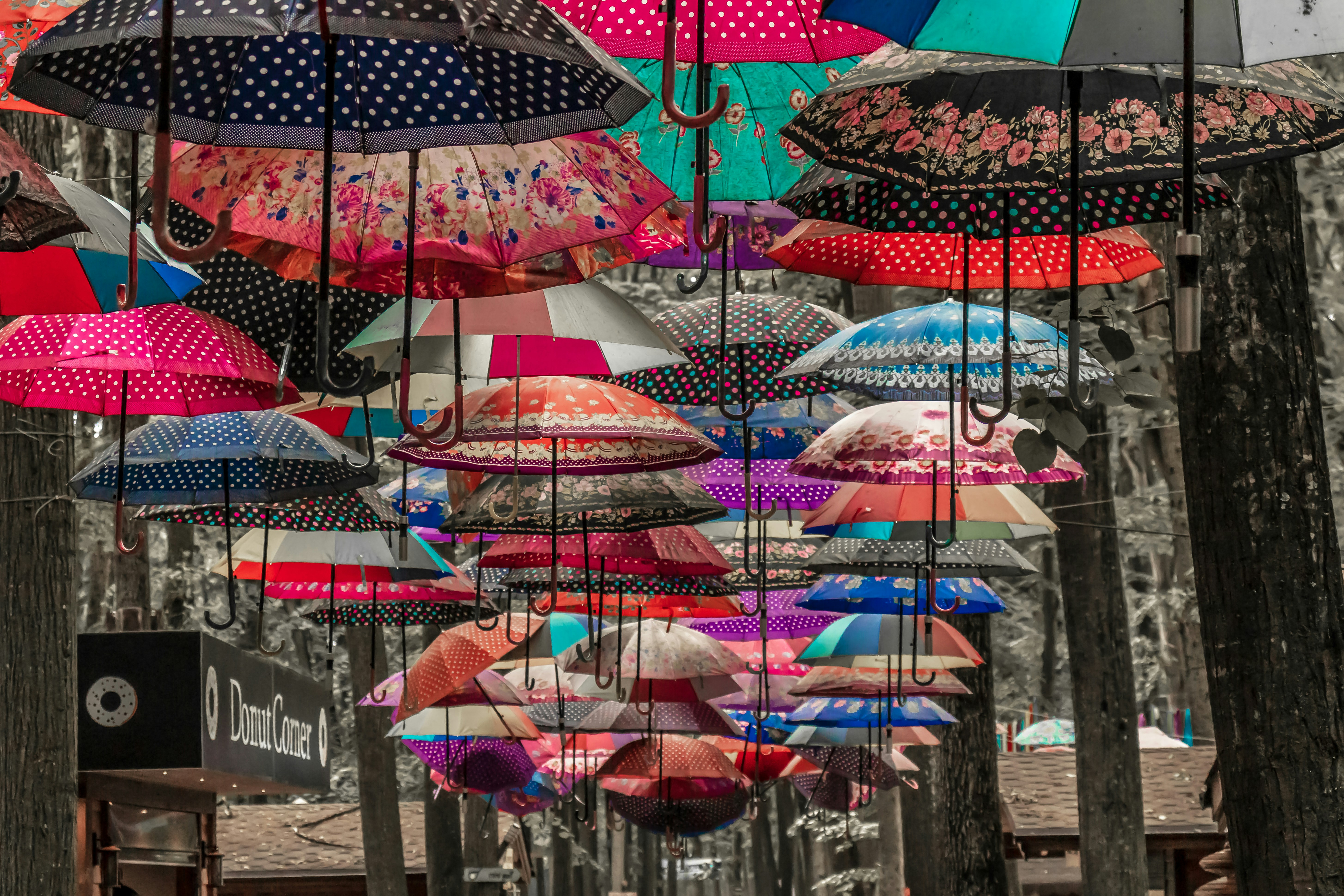 Multicolored umbrellas suspended above a street, creating a whimsical canopy.