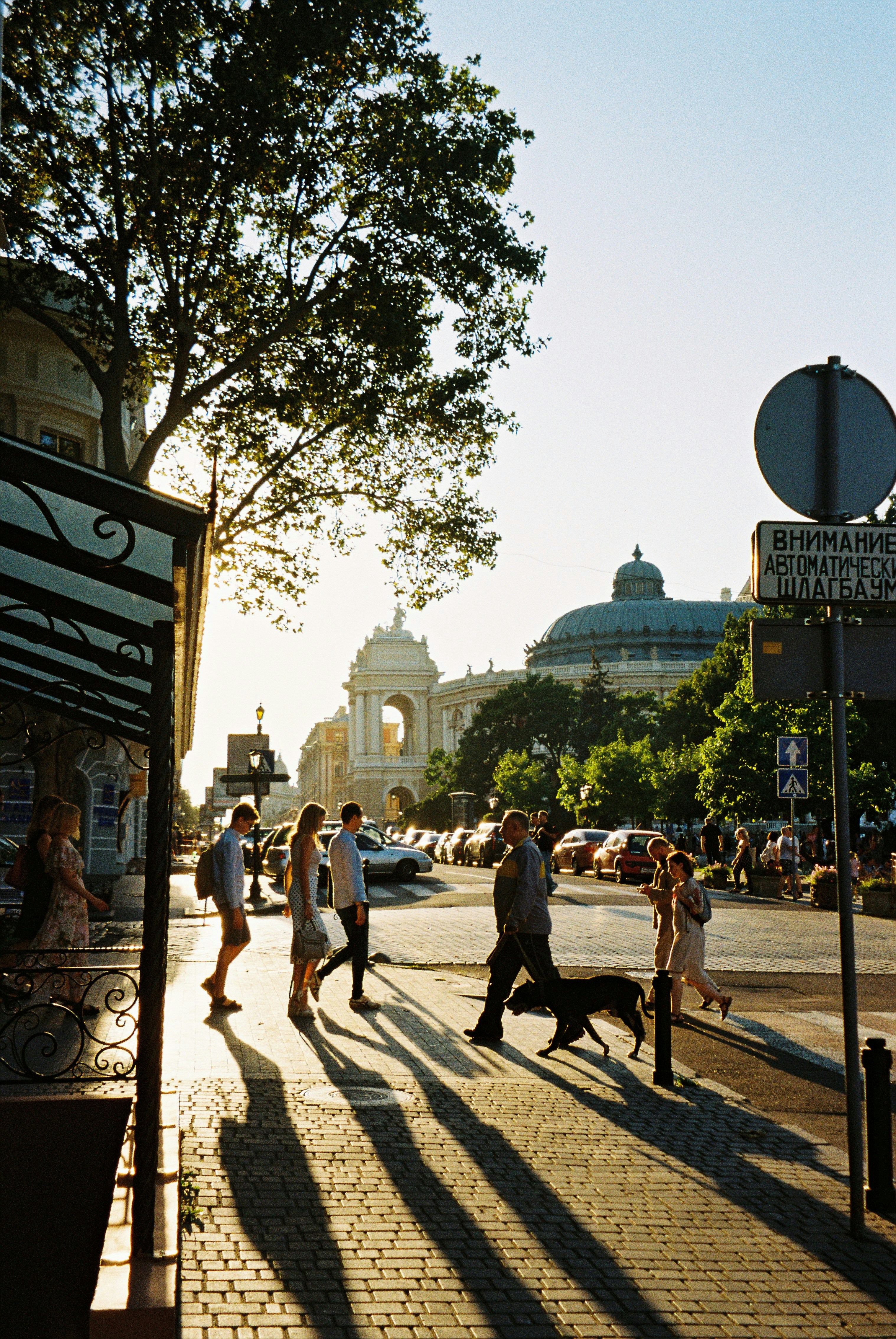 people walking on street during daytime