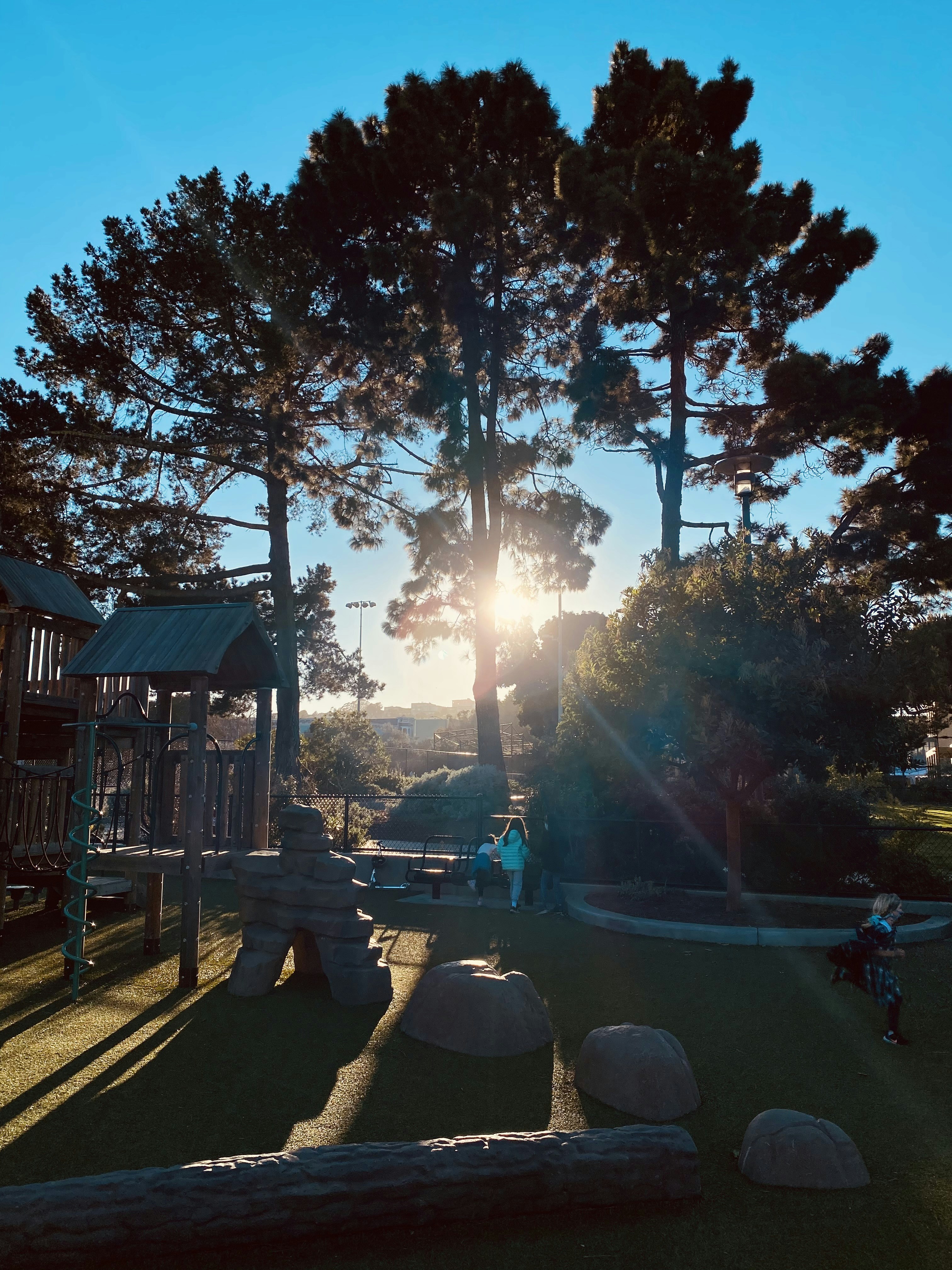 Children playing in a park with playground structures and sunlight filtering through tall trees. The scene captures the essence of outdoor joy.