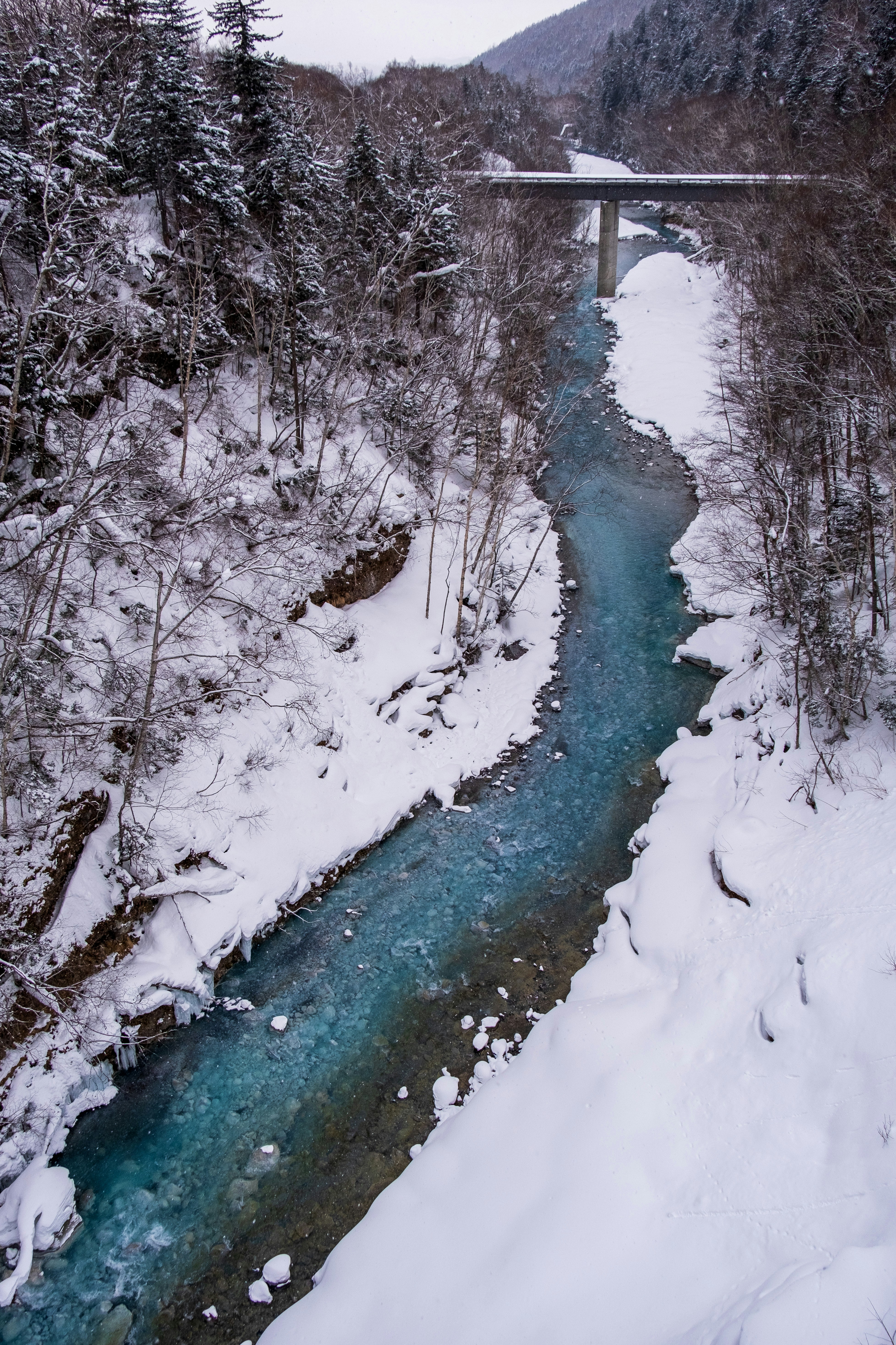 Turquoise Gorge: A Winter River Winding Beneath a Snow-Capped Bridge