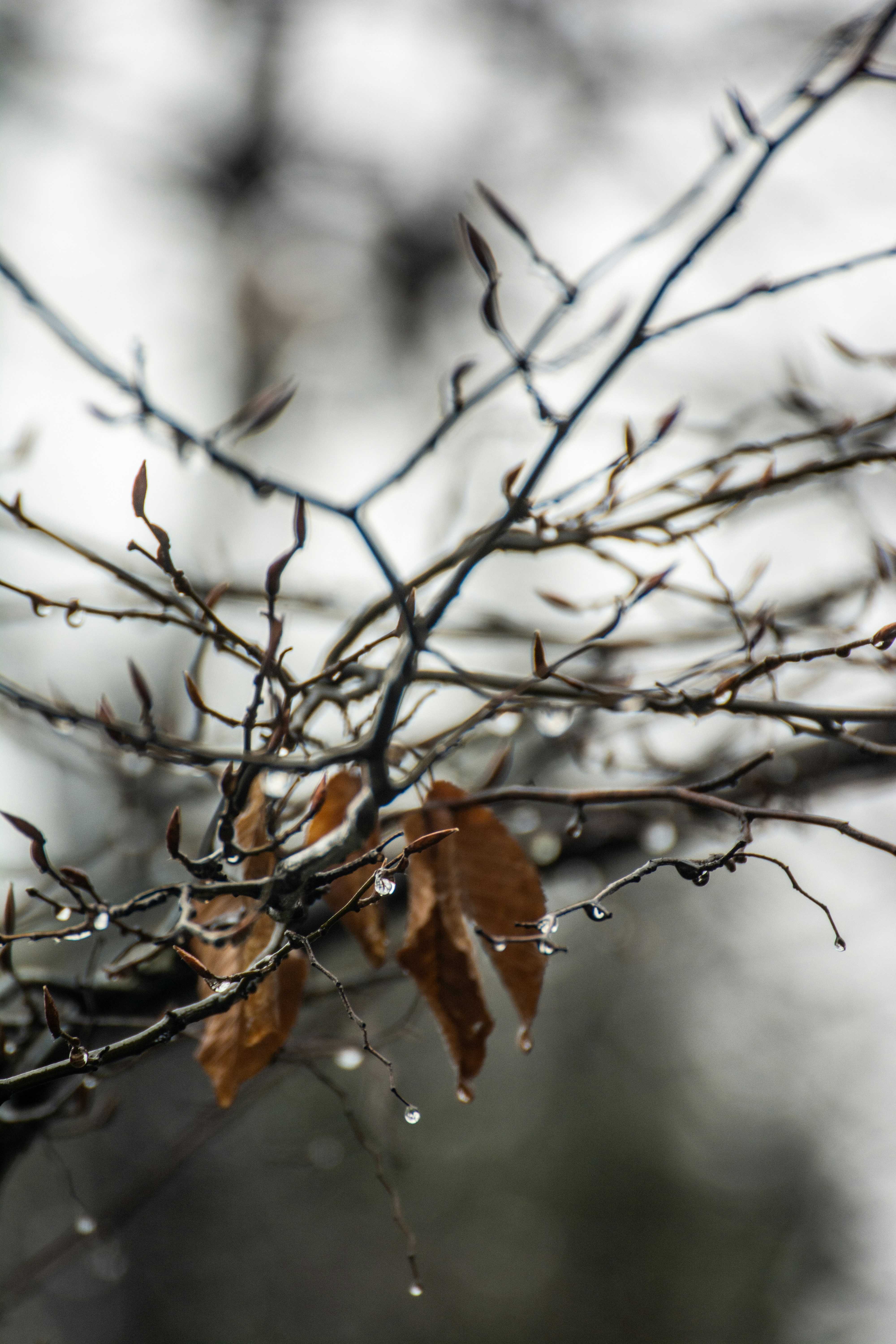 Photo by Amin Sam with Nikon D7100