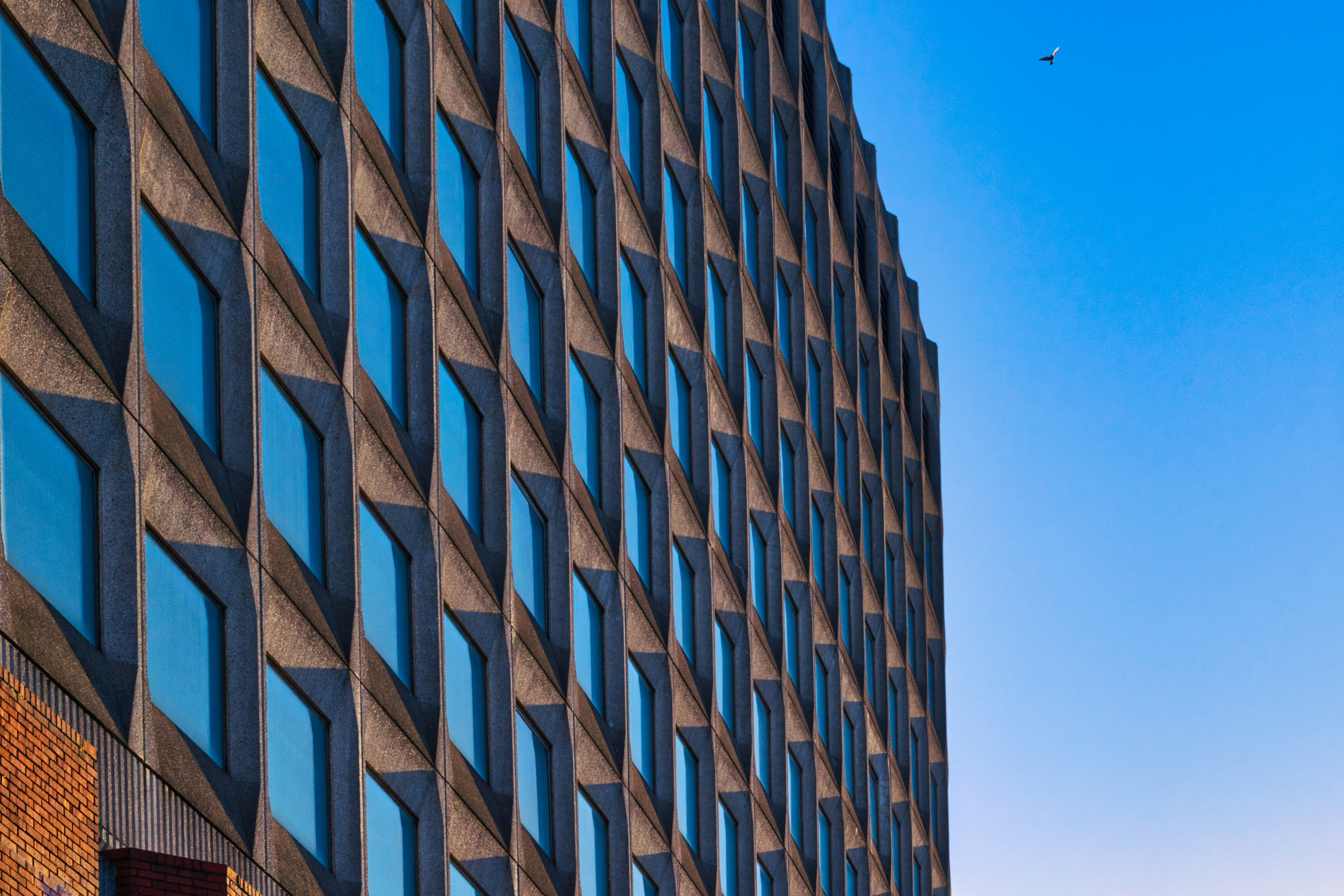 Modern architectural facade showcasing a series of reflective blue windows and textured concrete patterns. A bird flies in the clear sky above.