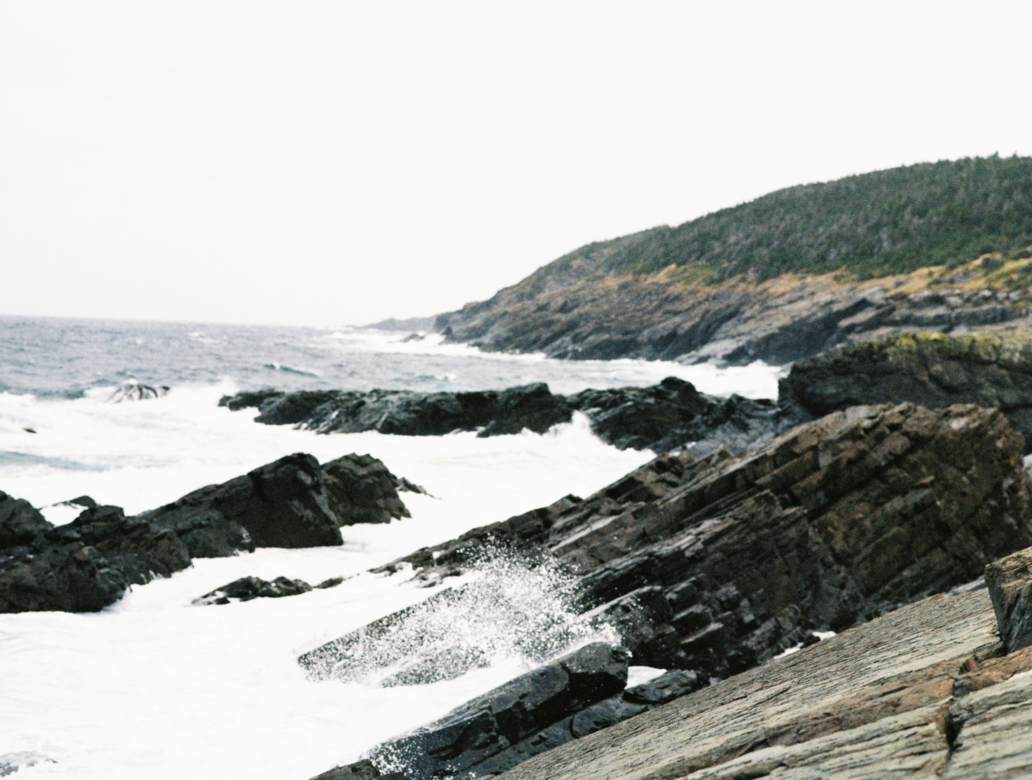Whispers of the Ocean's Edge