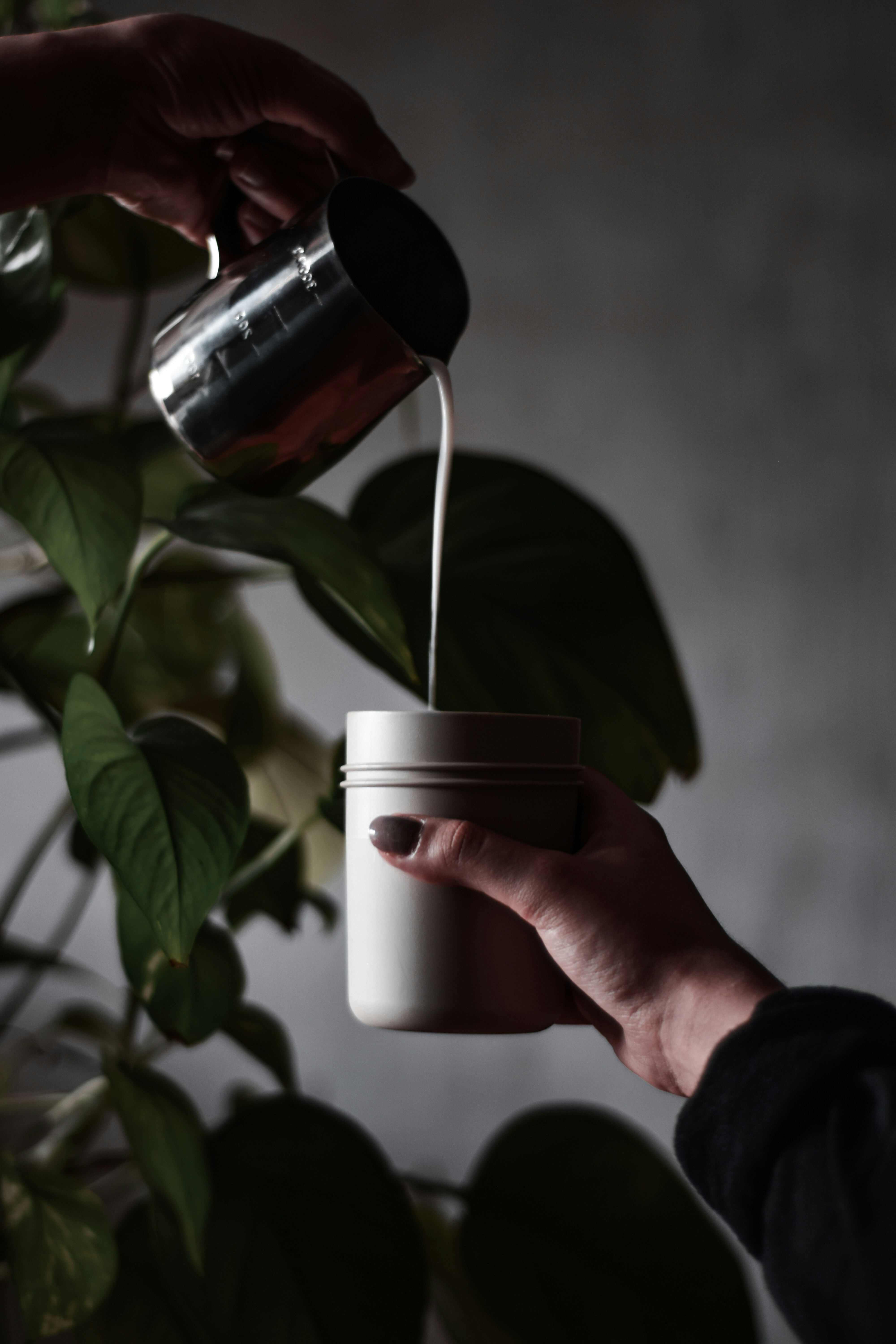 A hand gracefully pours milk from a metallic jug into a minimalist container, surrounded by lush green leaves. The scene captures a tranquil moment in a cozy setting.