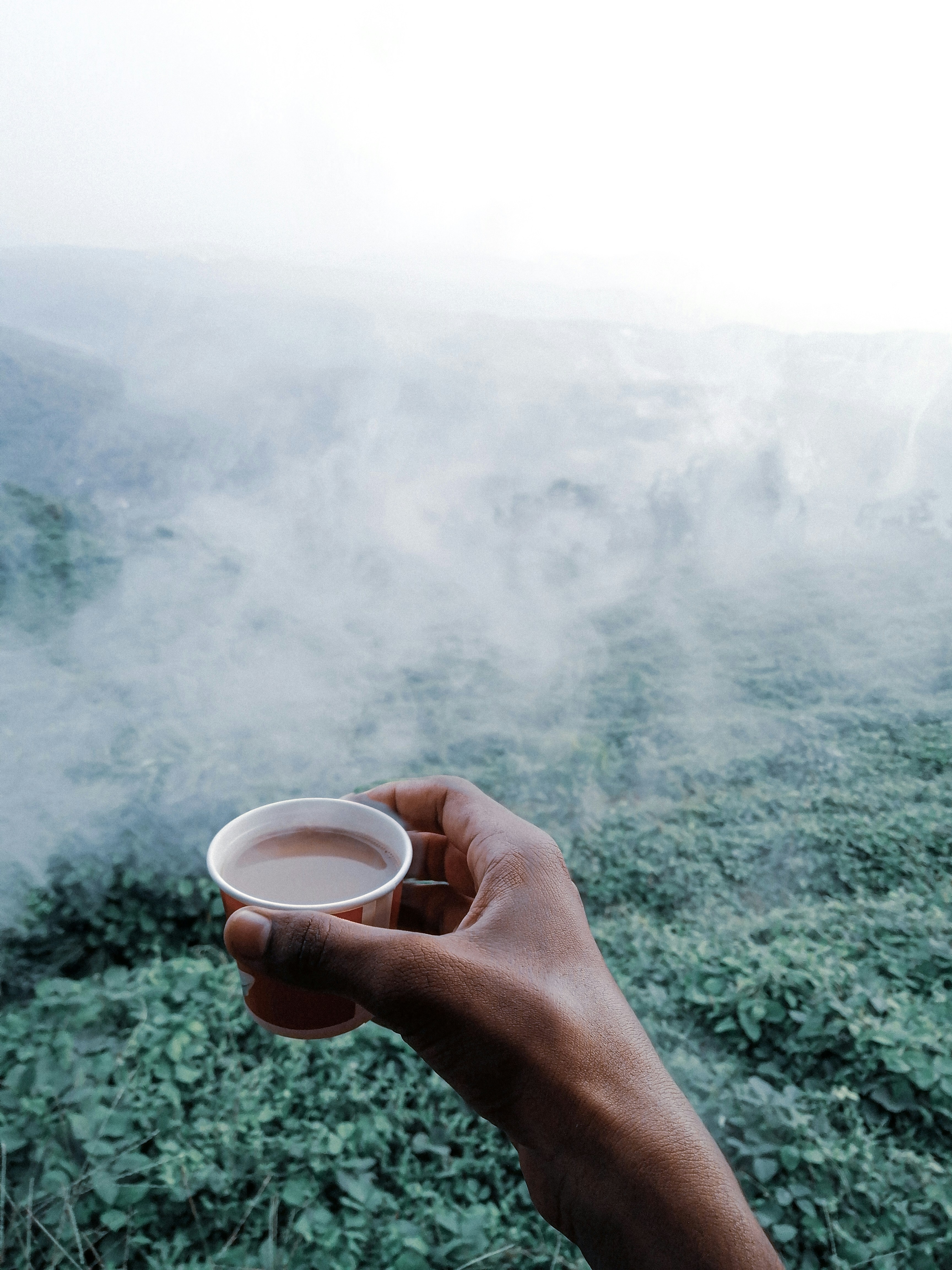 Tea vibe