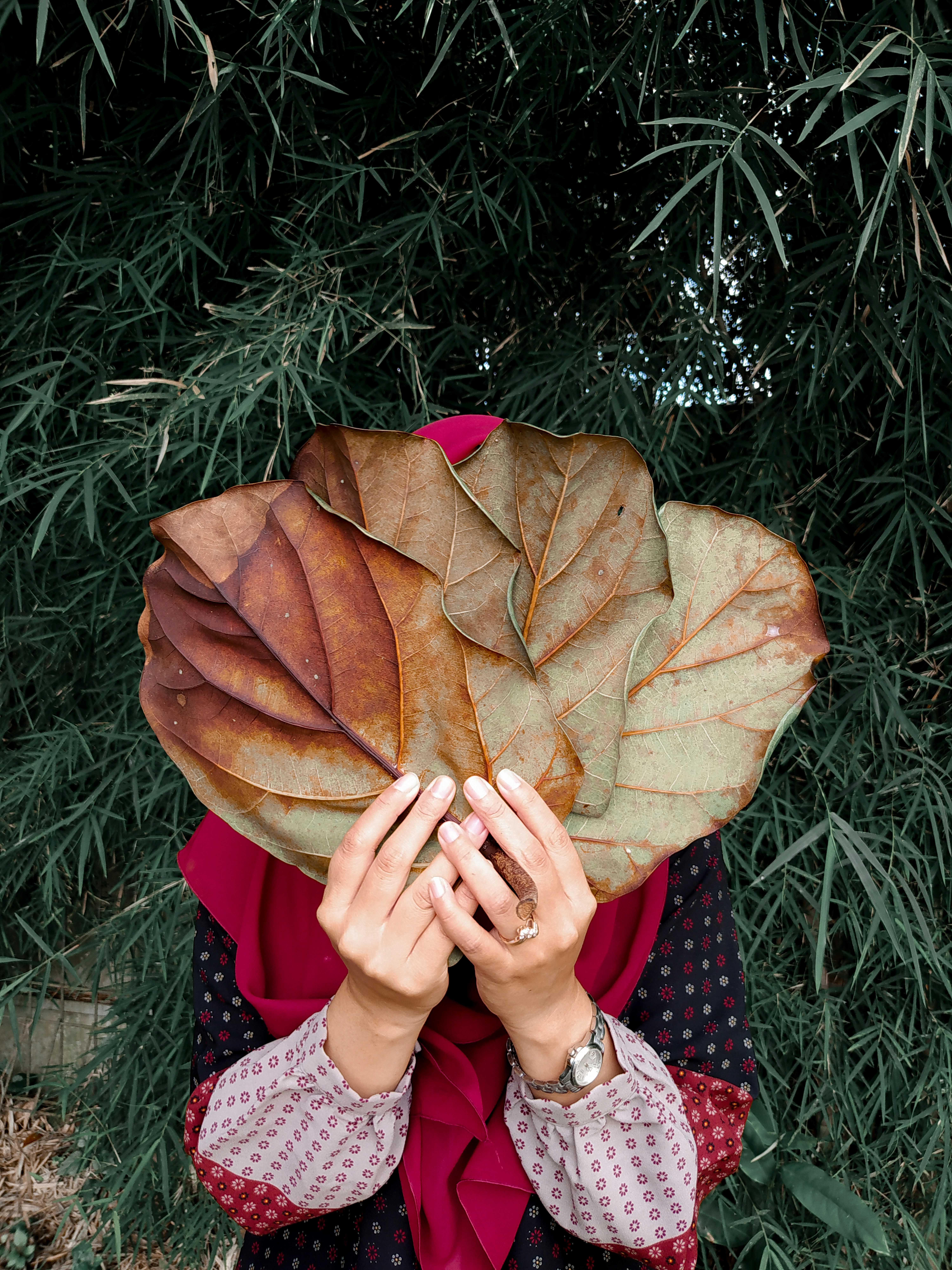 A person stands outdoors holding several large dried leaves in front of their face, partially obscuring their features; the scene showcases the texture of the leaves and a patterned long-sleeve garment with a red scarf against a backdrop of tall green foliage.