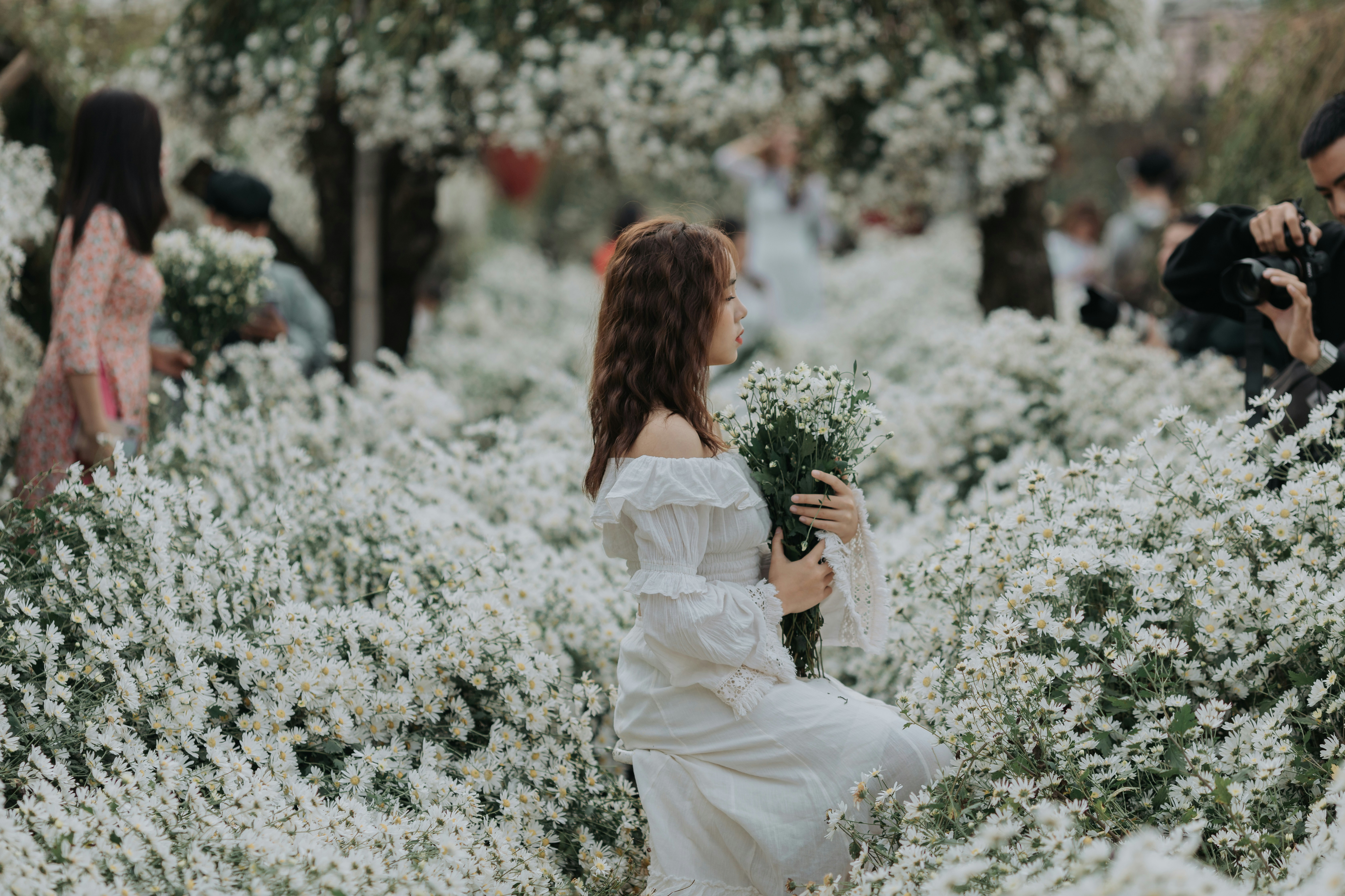 Young woman in a white dress holds a bouquet amidst a sea of white flowers, surrounded by others enjoying the bloom. The scene captures a moment of tranquility in nature.