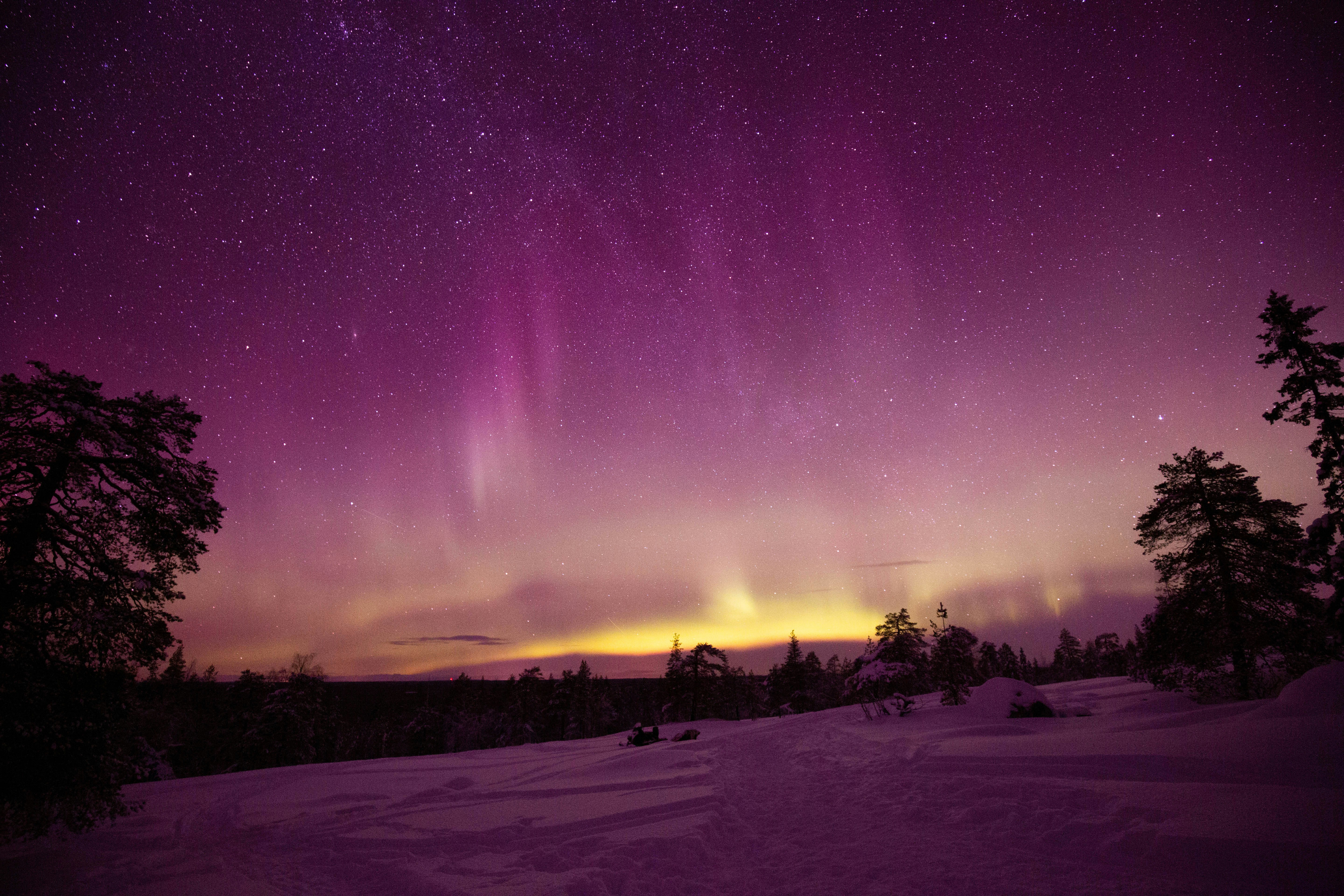 Aurora Veil Over Silent Snowfield