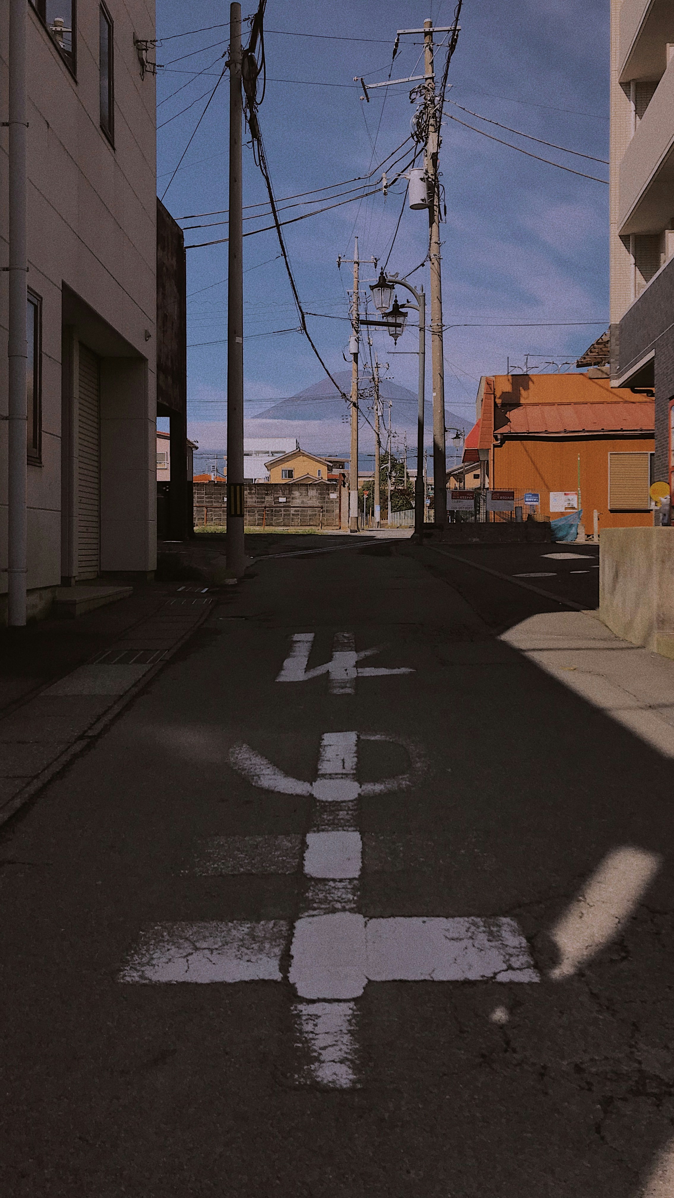 white and black pedestrian lane
