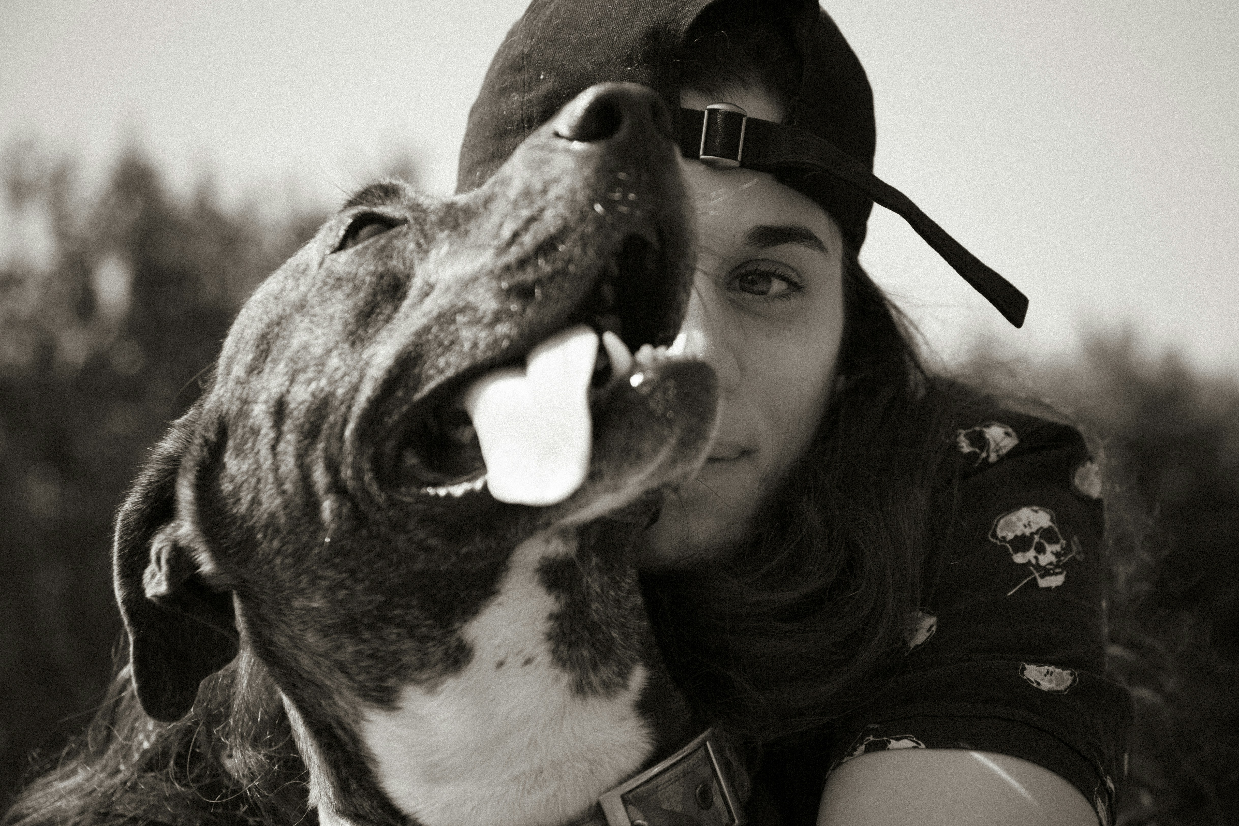 Tongue-Out Mono Moment: a close-up of a dog and friend