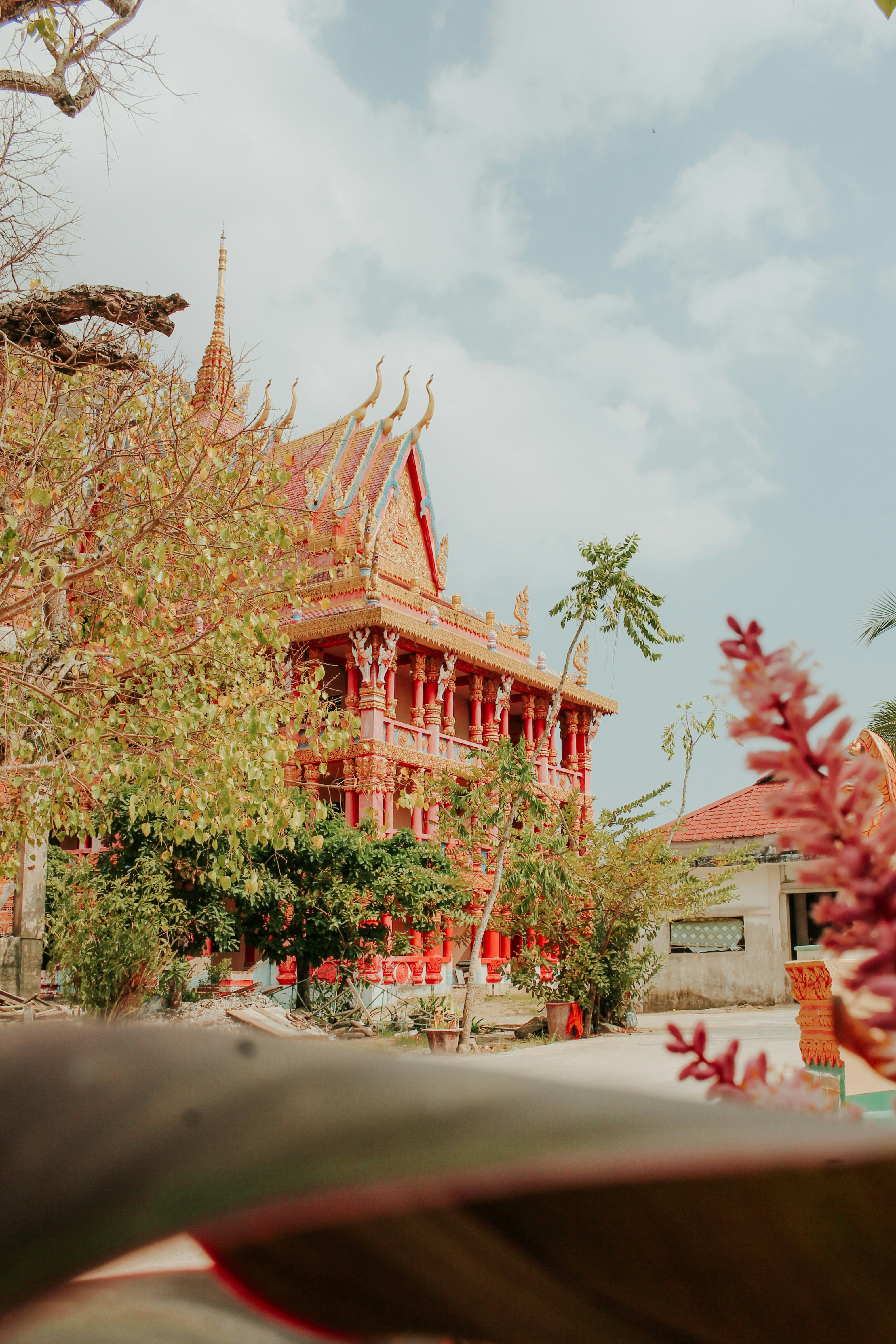 Crimson Wat Framed by Lush Garden Fronds