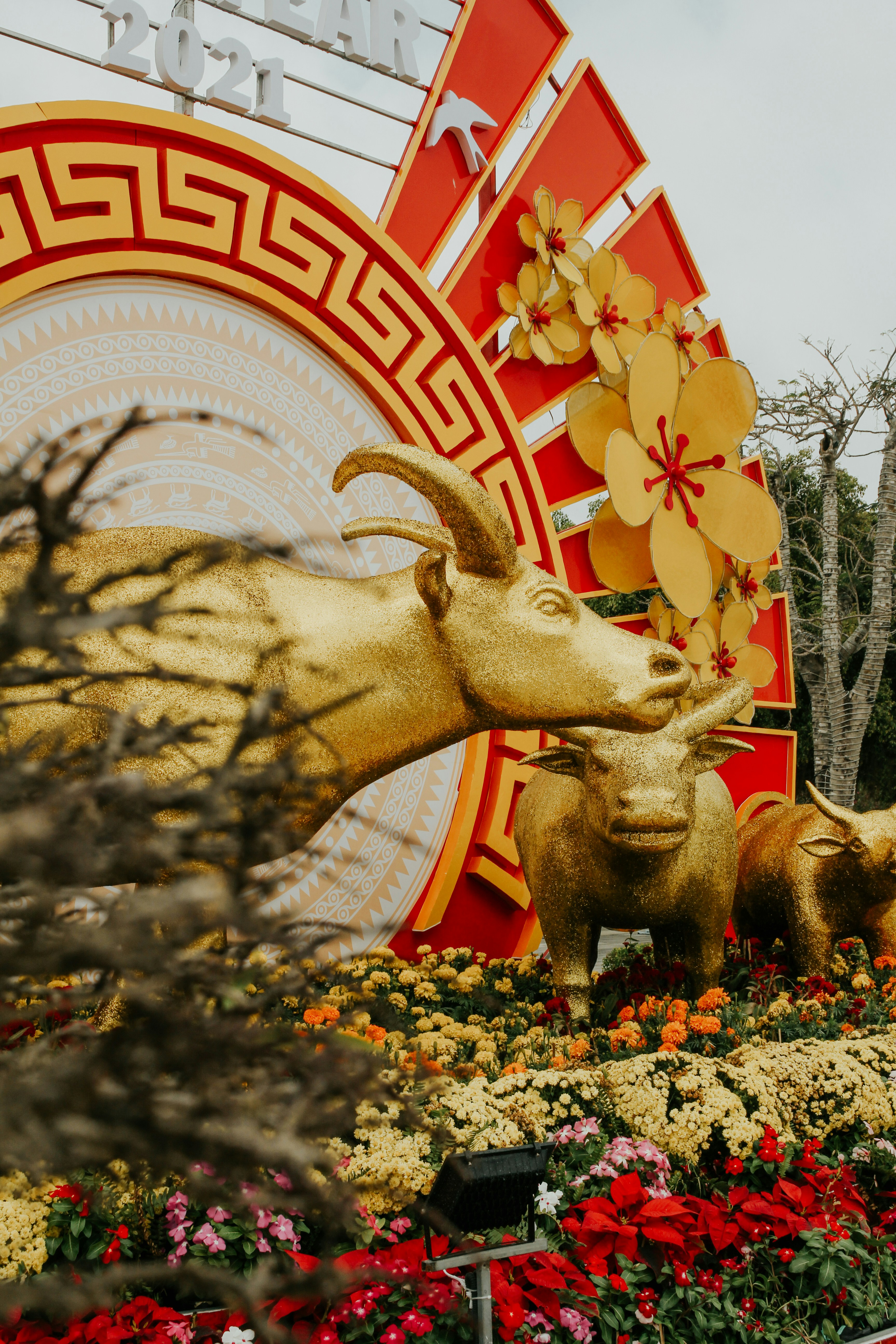 Golden Bull Nexus: The Parade of Floral Grandeur