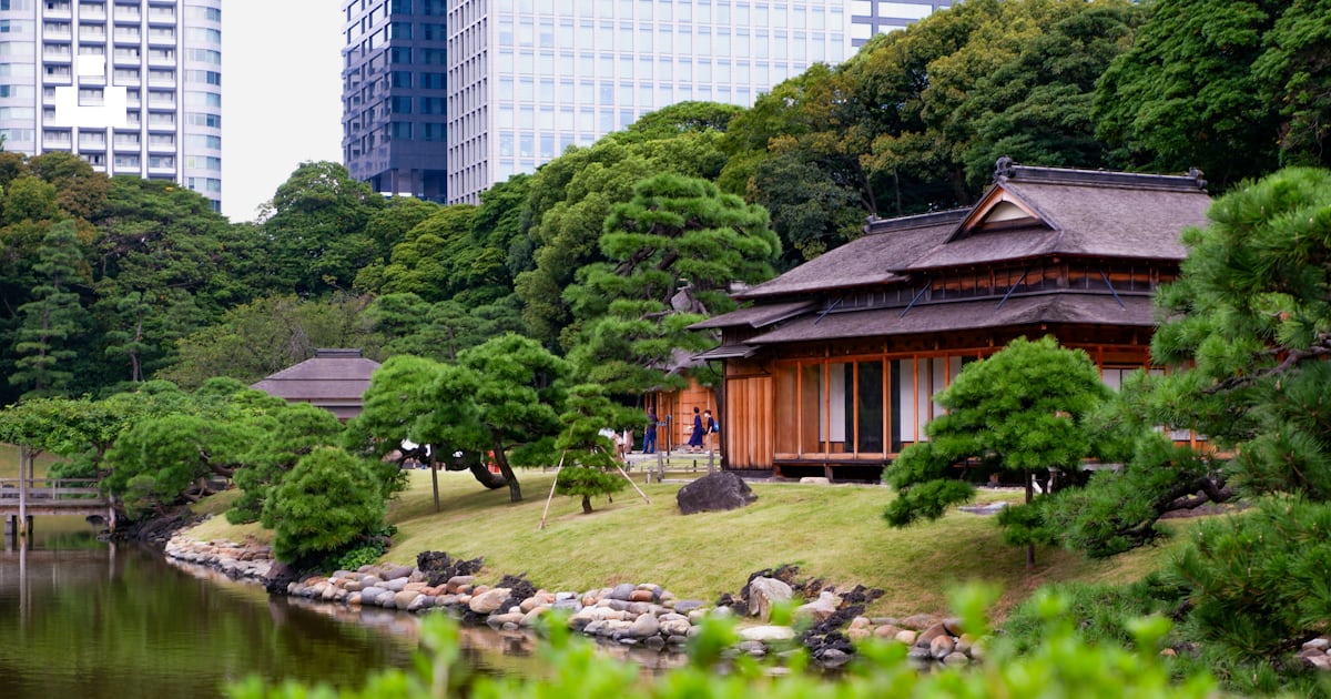 昼間の緑の木々と川の近くの茶色の木造住宅の写真 Unsplashの無料浜離宮恩賜庭園写真