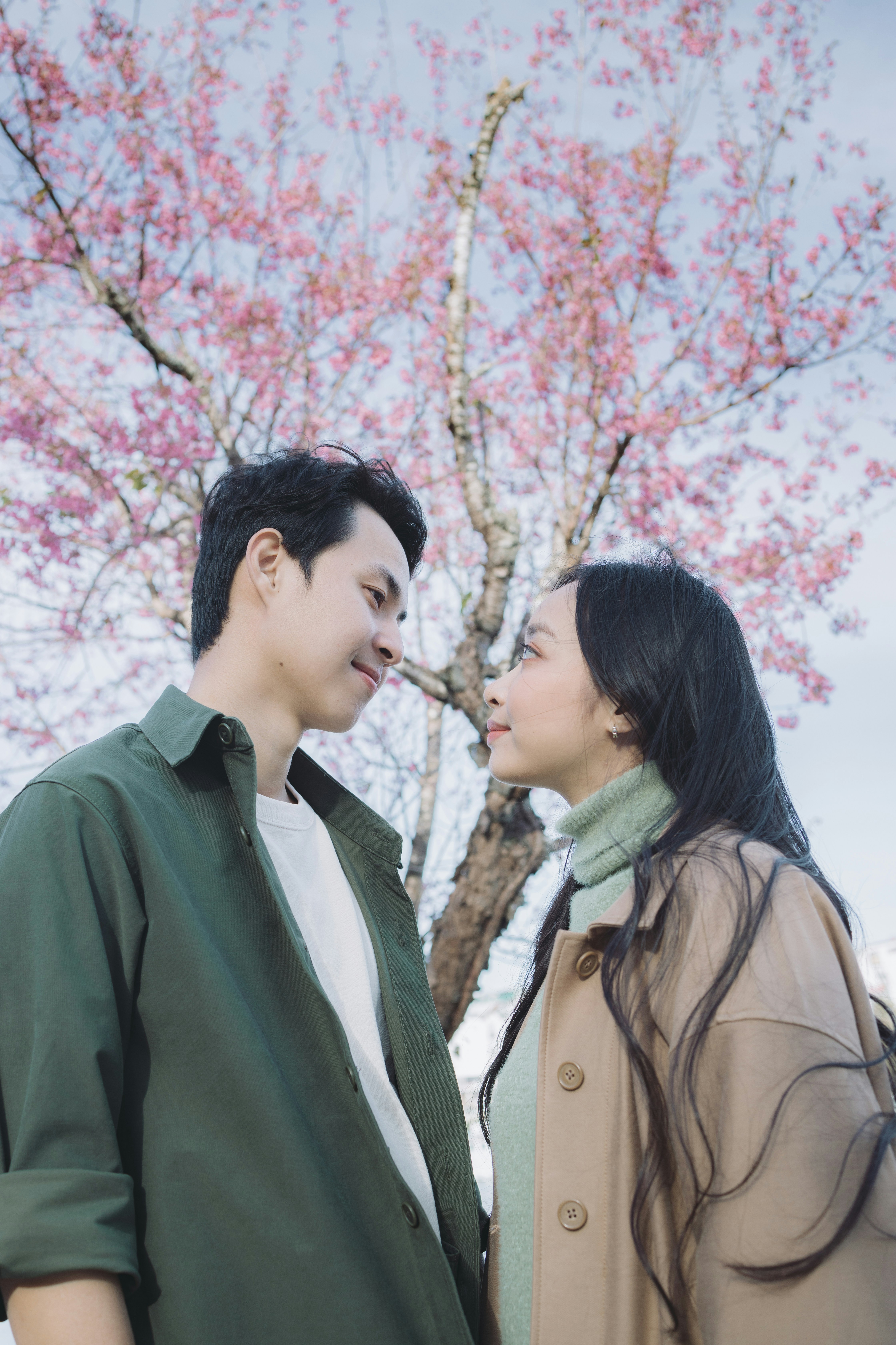man and woman standing near cherry blossom tree during daytime