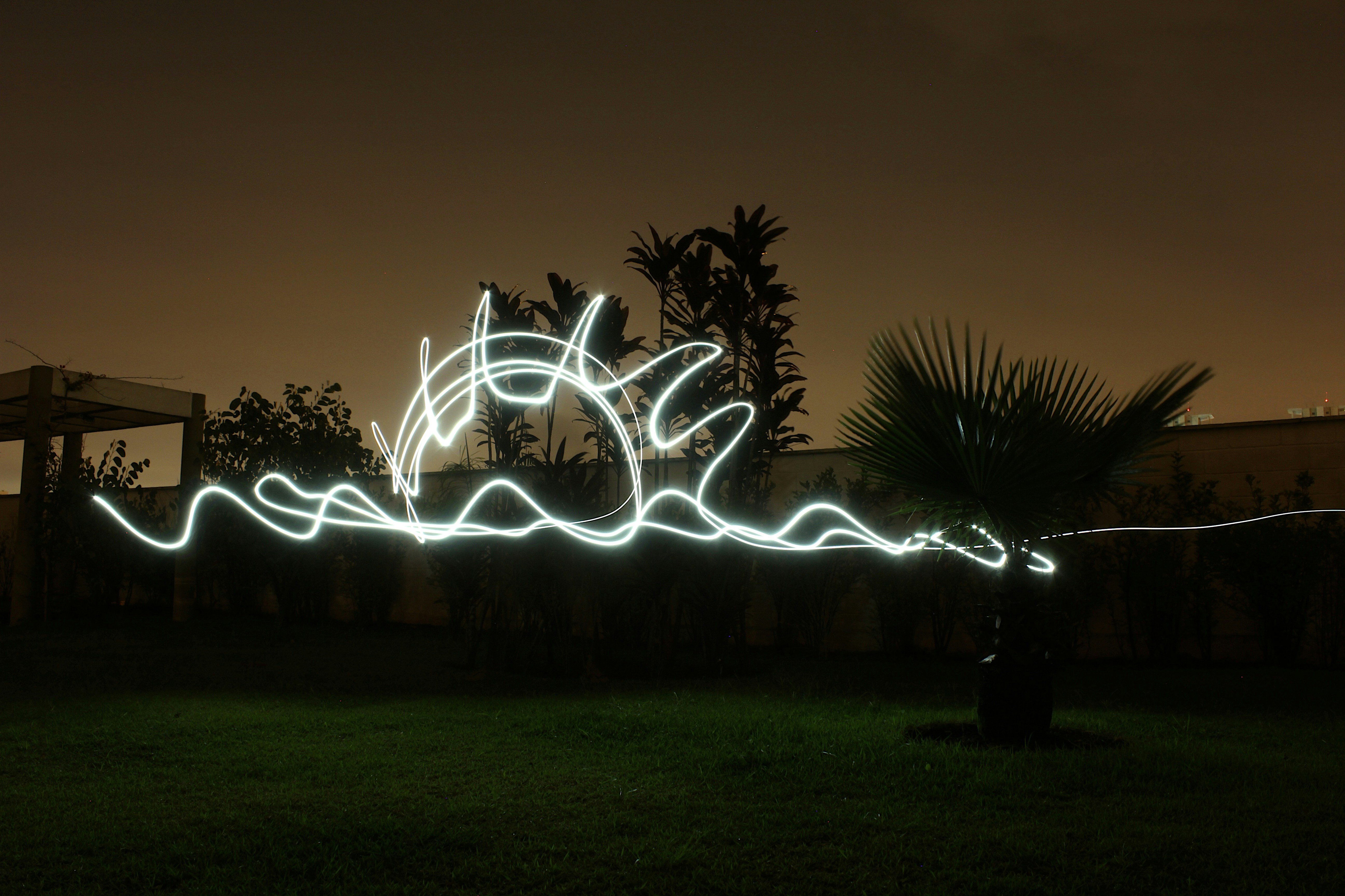 Light painting depicting stylized waves and a sun, set against a nighttime backdrop with lush greenery.