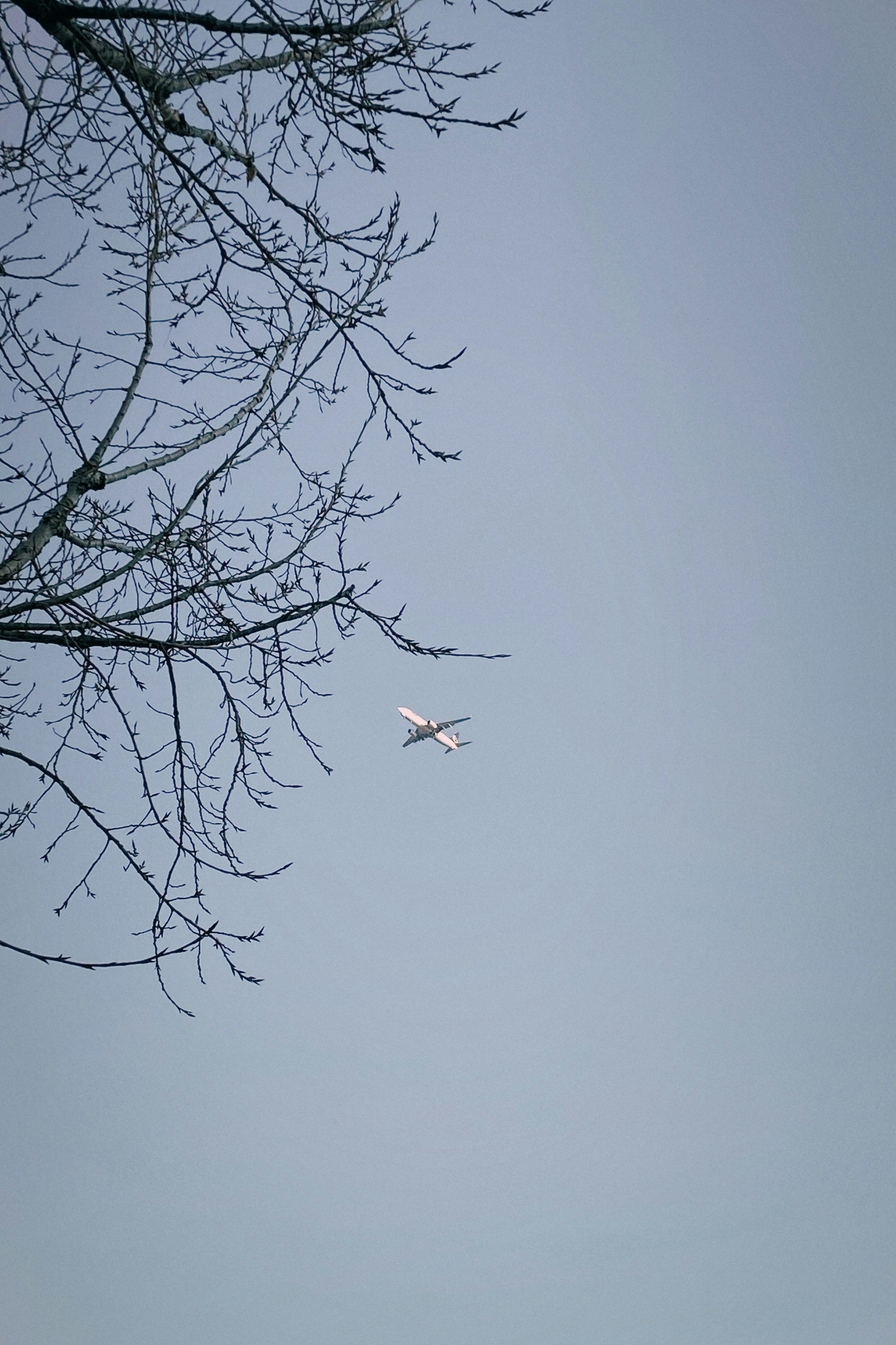 Skyward Speck: A Tiny Jet Drifts Across a Pale Blue Vastness