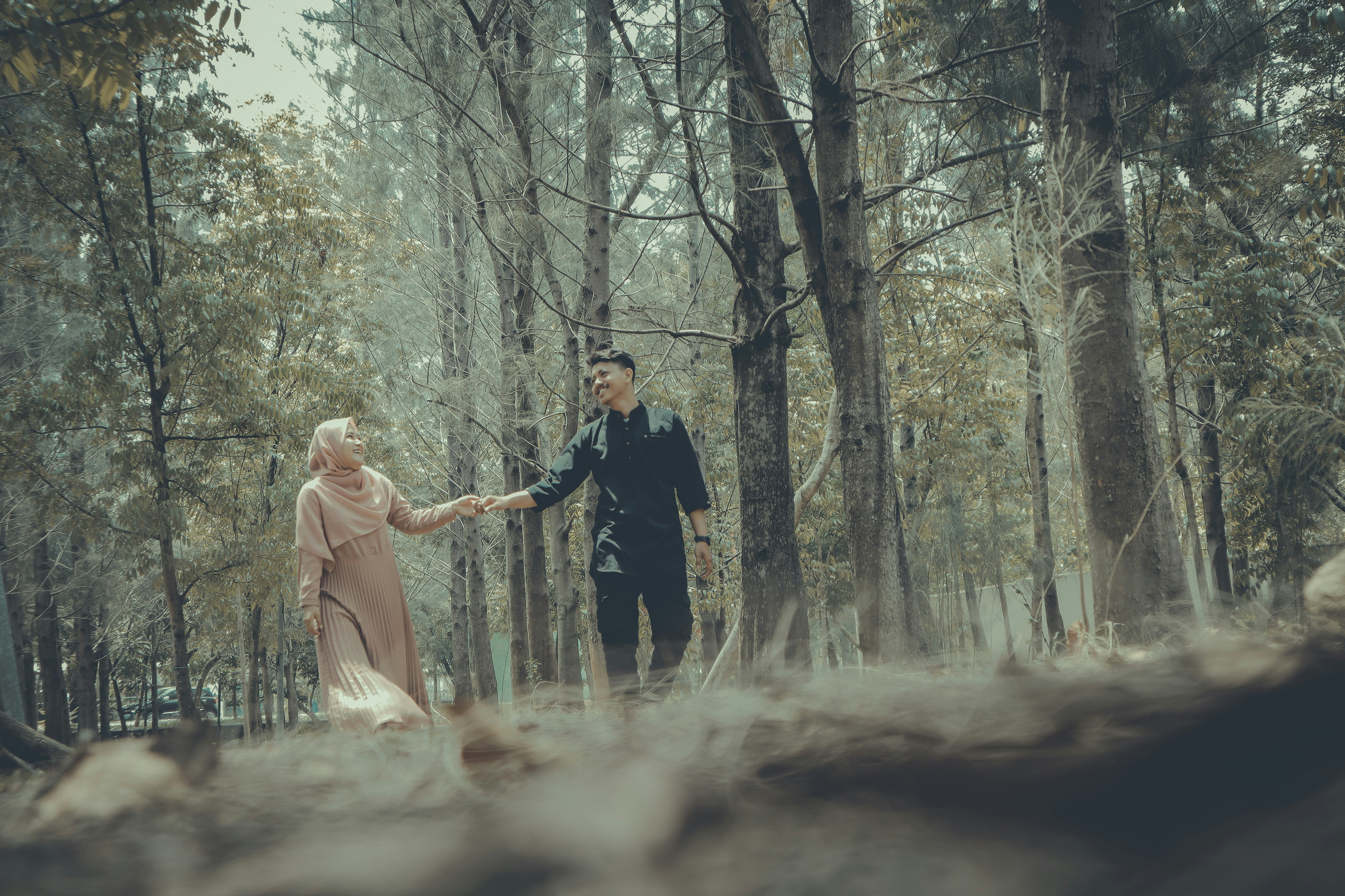 Imágenes de Deltamas De Hutan Kotum | Descarga imágenes gratuitas en ...