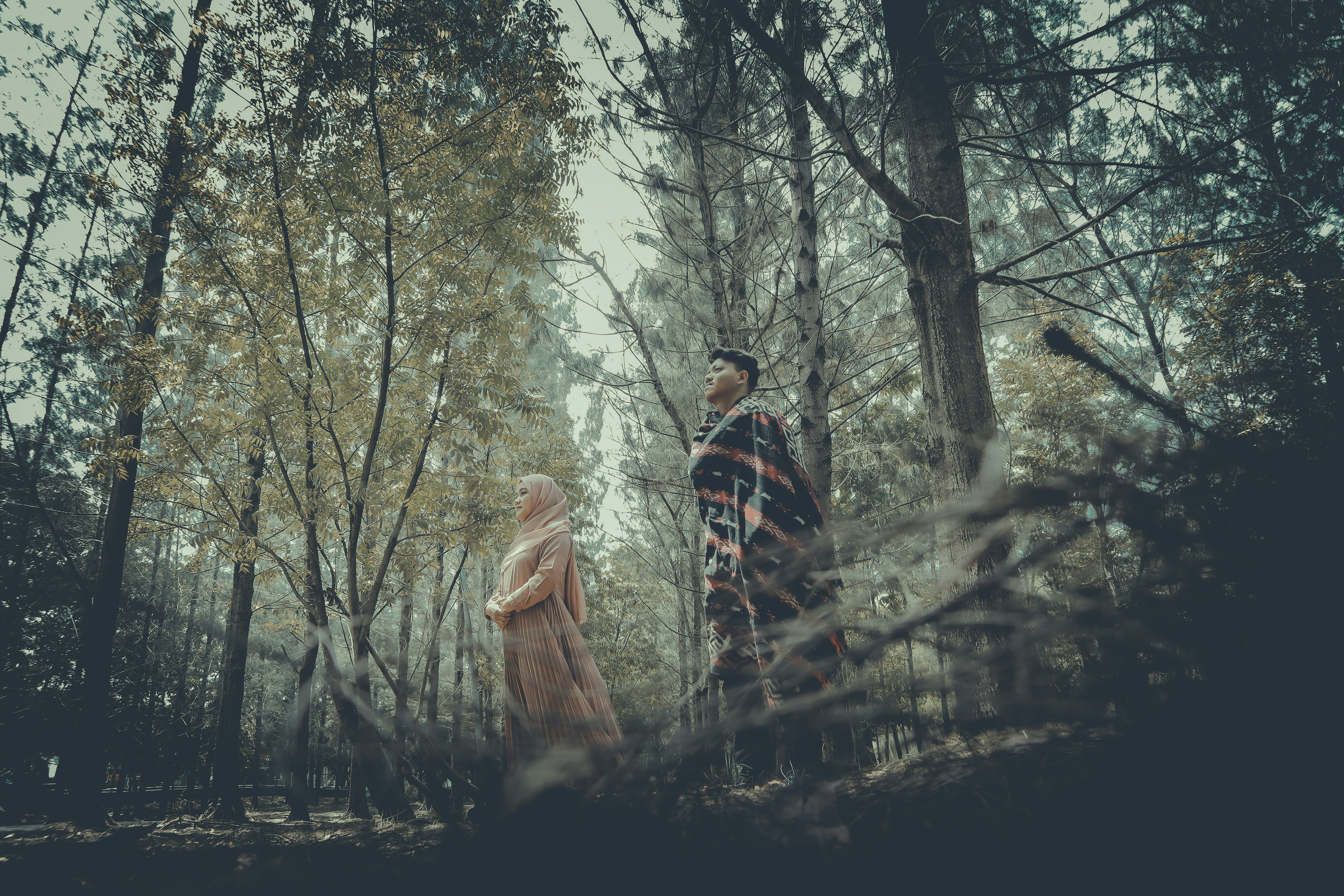 Imágenes de Deltamas De Hutan Kotum | Descarga imágenes gratuitas en ...