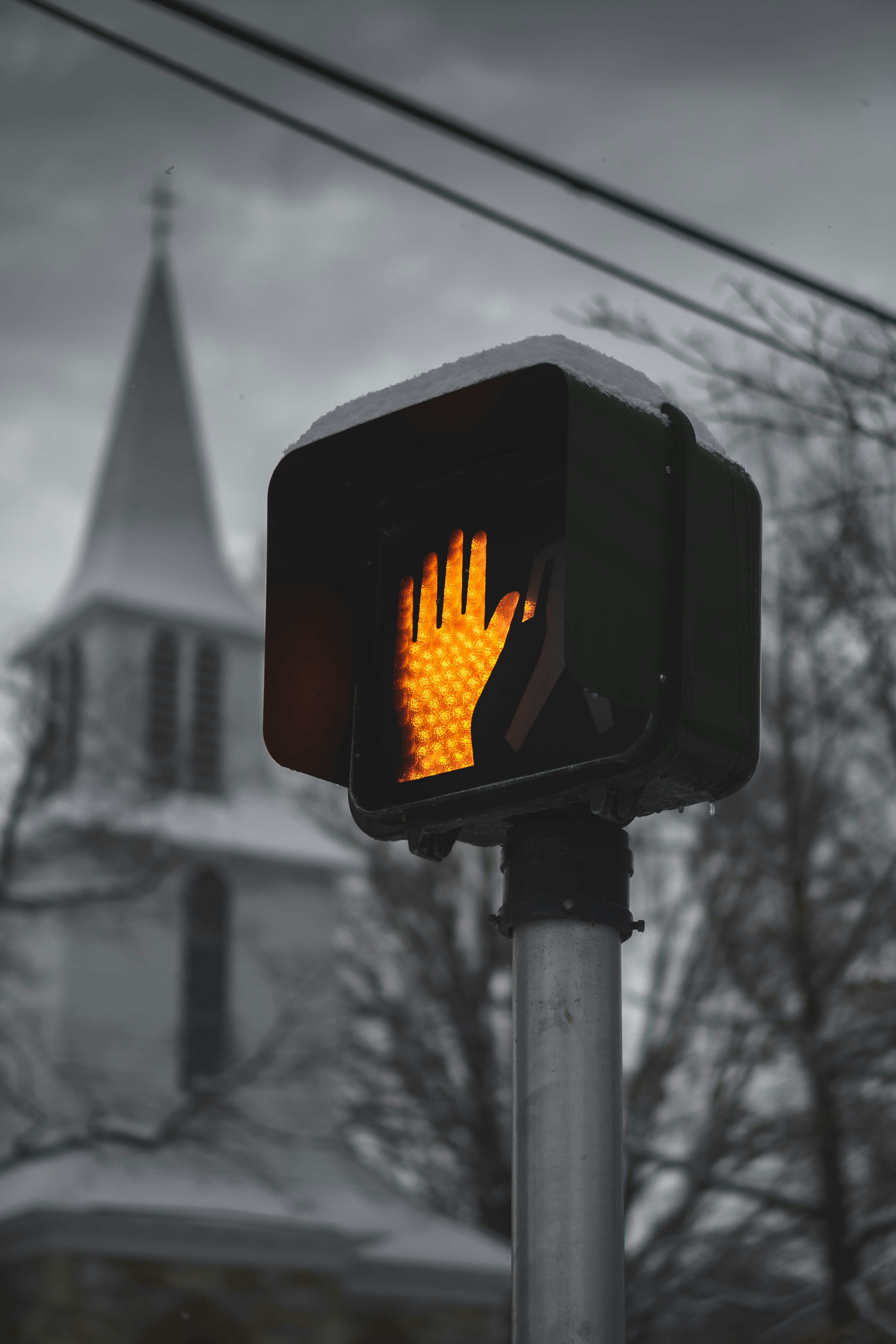 The Warm Hand at a Snow-Dusted Crossing