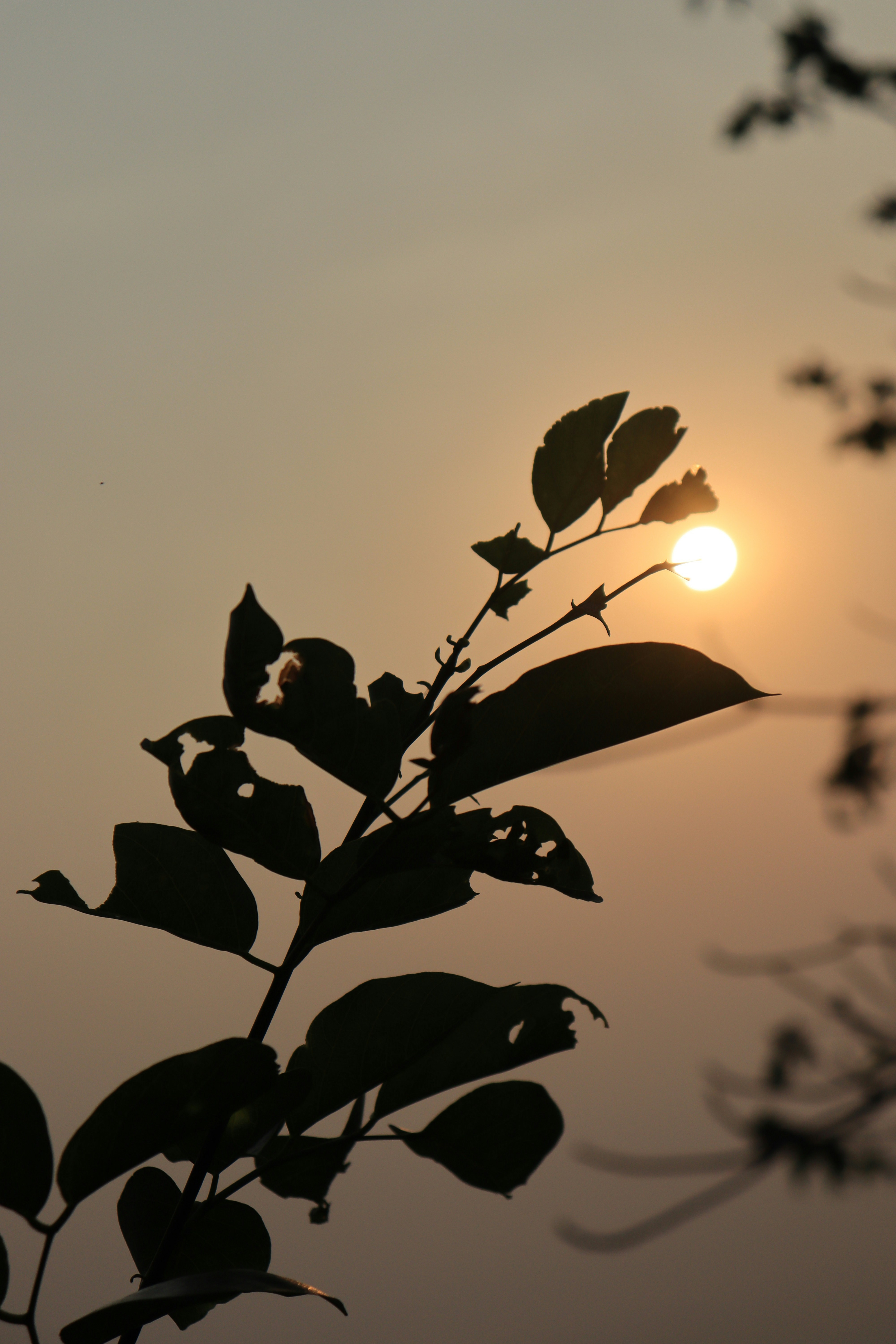 Nilima Jangid (@nilimajangid) | Unsplash Photo Community