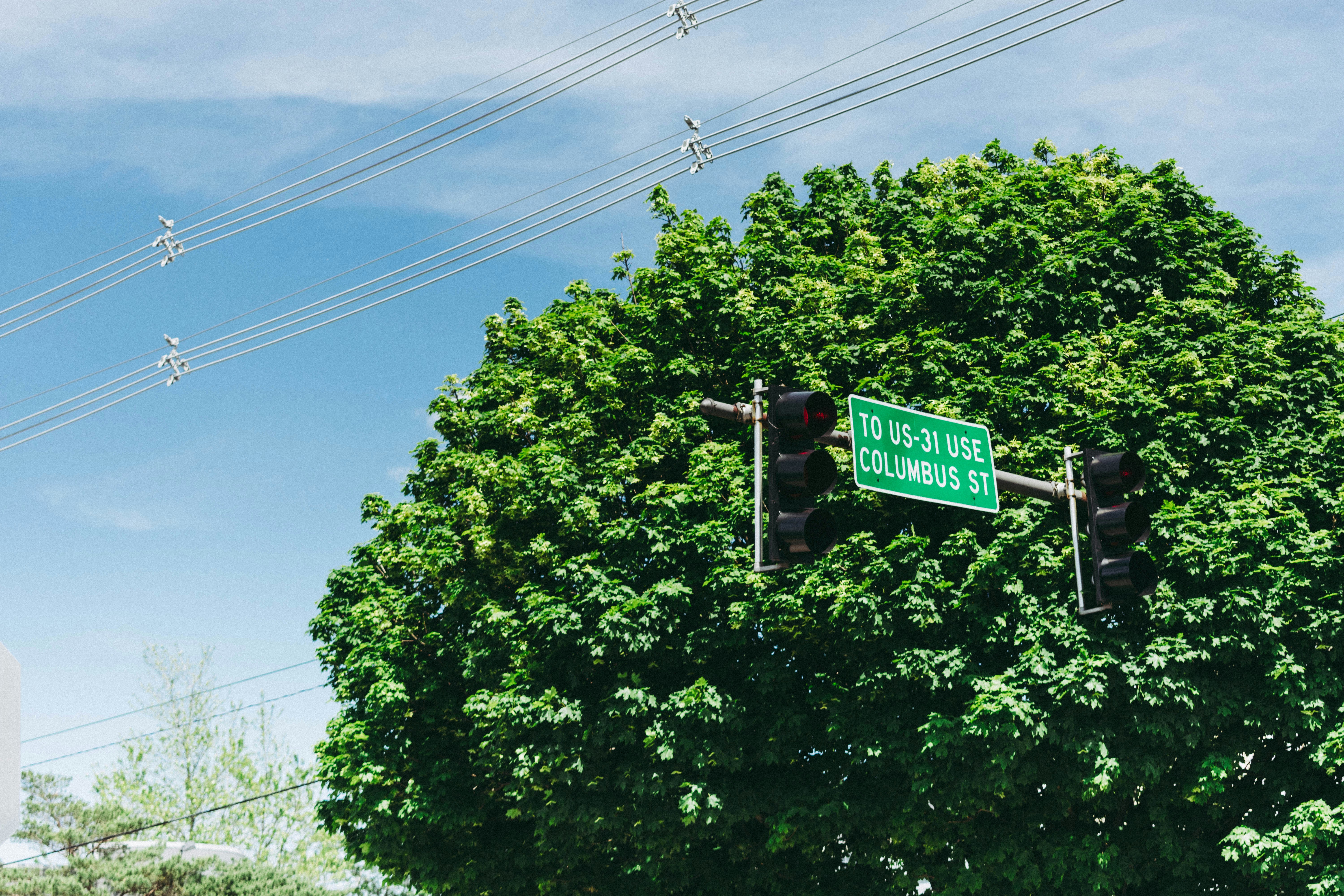 Traffic signal indicating direction to US-31, framed by lush green foliage under a clear blue sky.