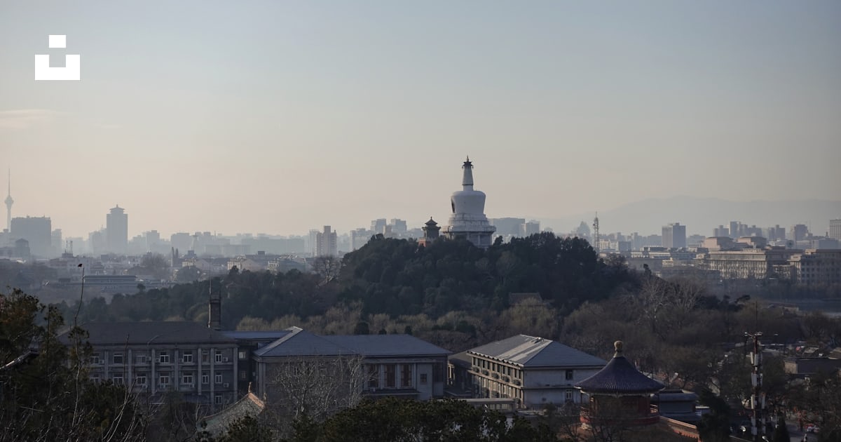 낮에는 녹색 나무 근처의 흰색과 갈색 콘크리트 건물 사진 Unsplash의 무료 회색 이미지