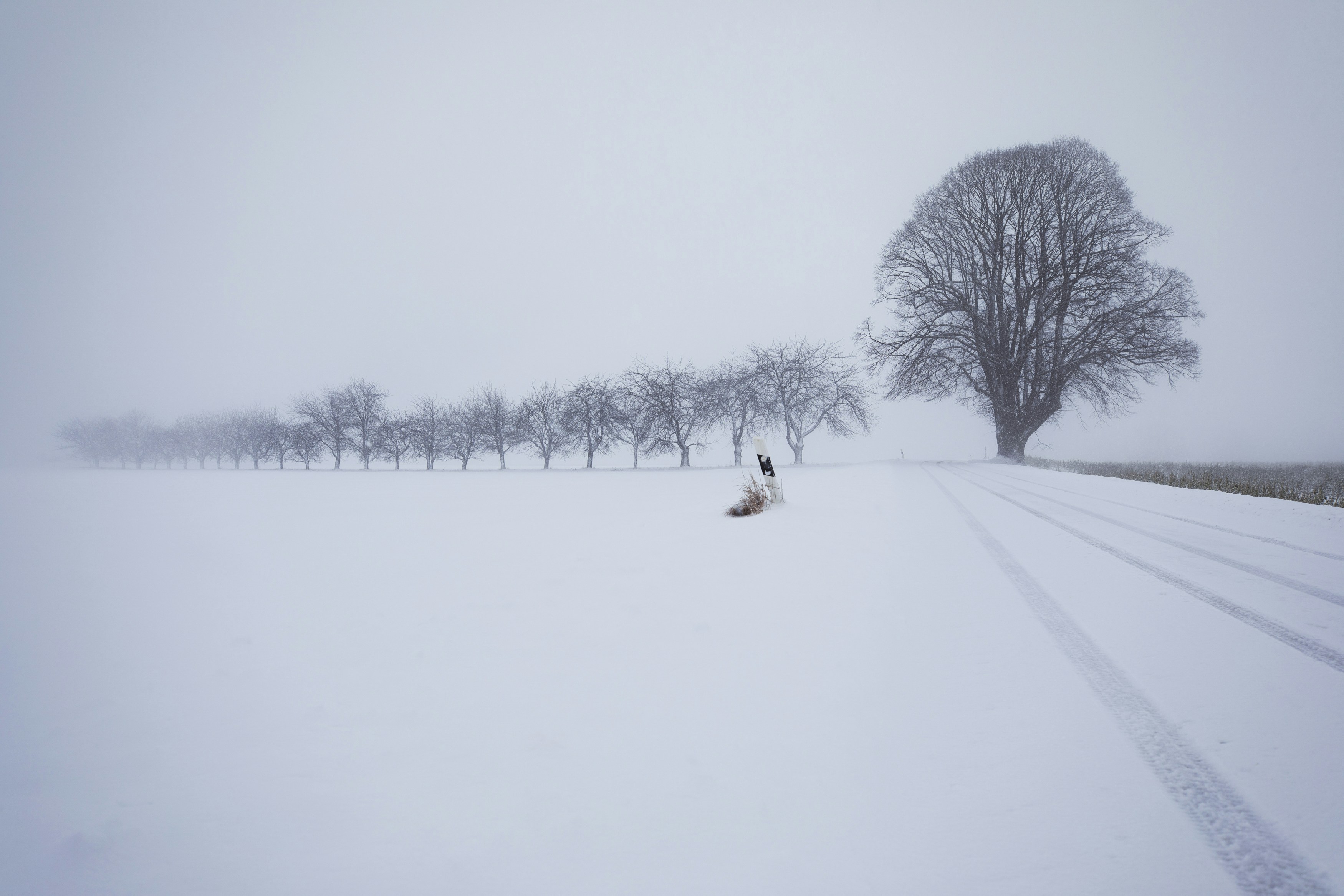 Winter landscape road snow covered