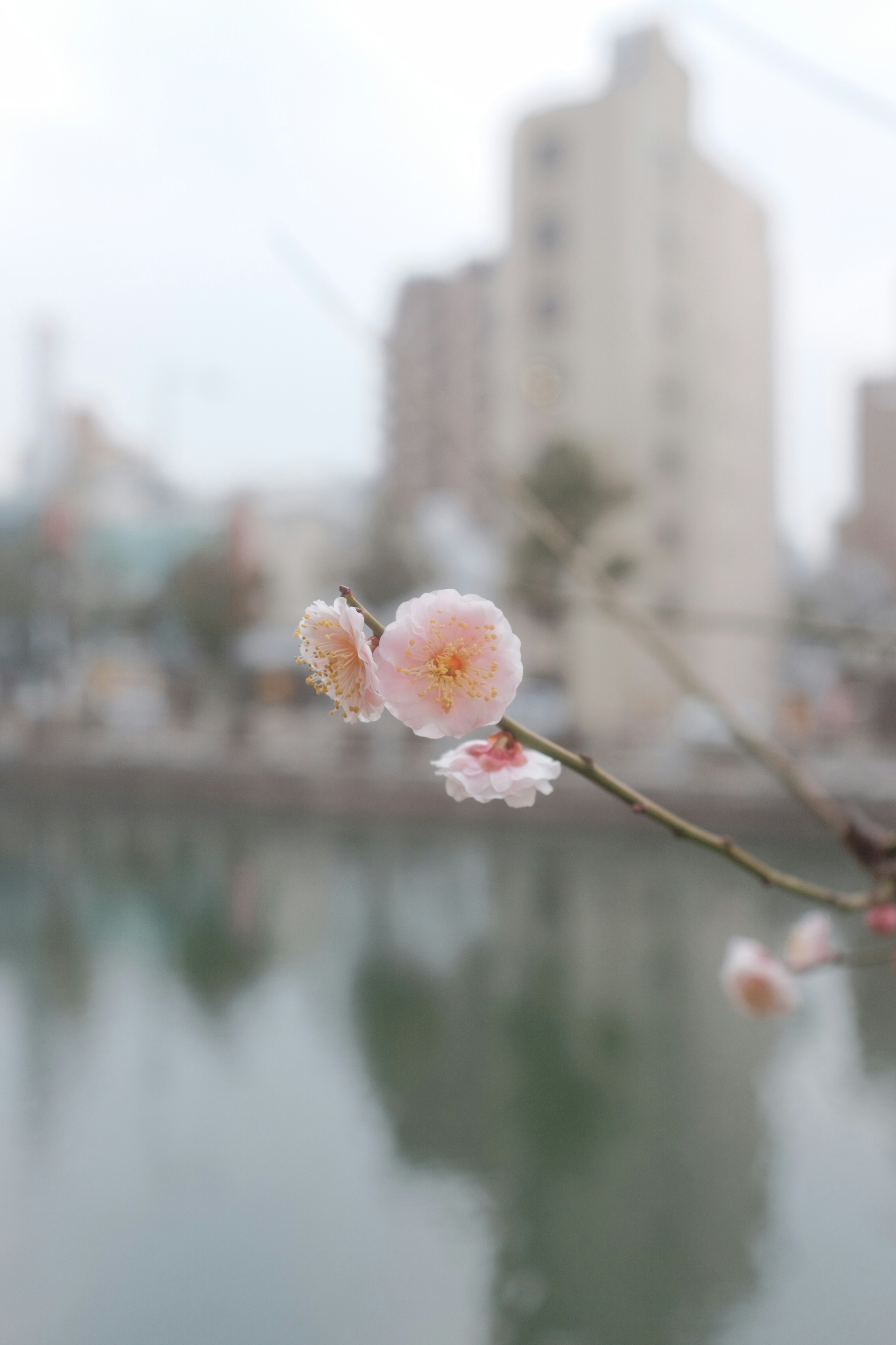 Photo by MAK with Fujifilm X100F