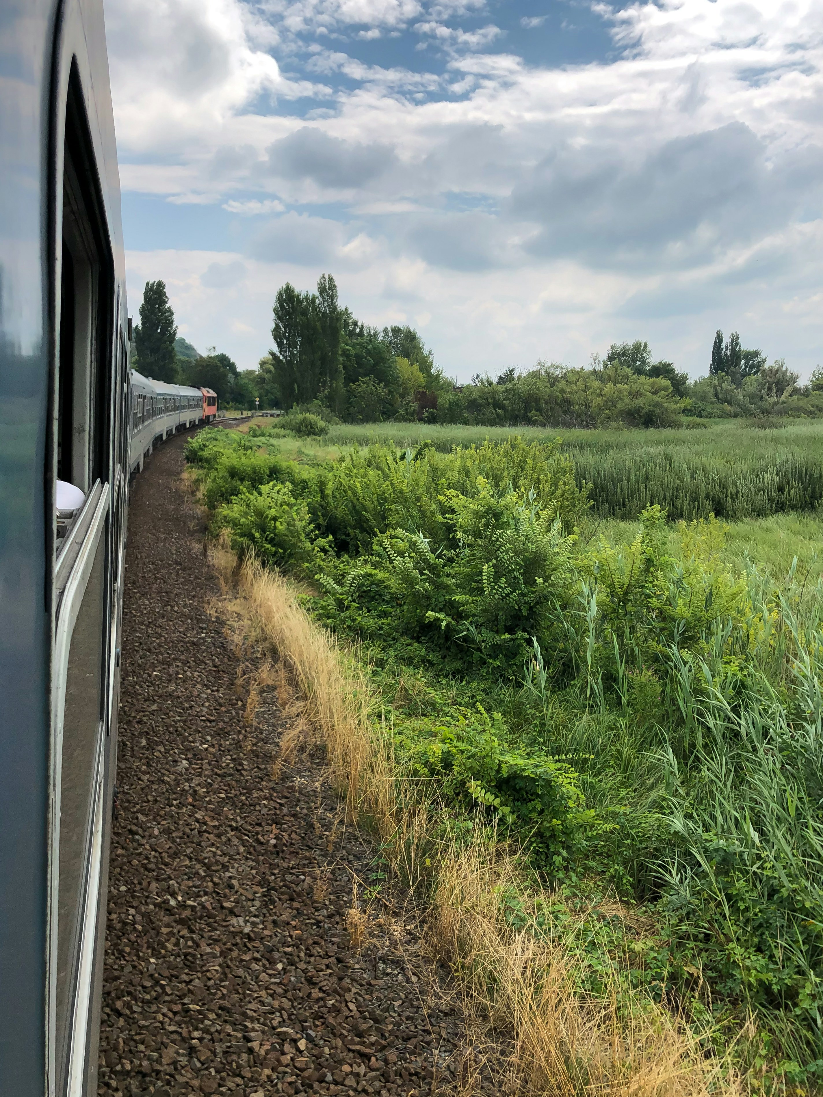 Green Corridor: A Train's Quiet Journey Along Verdant Rails
