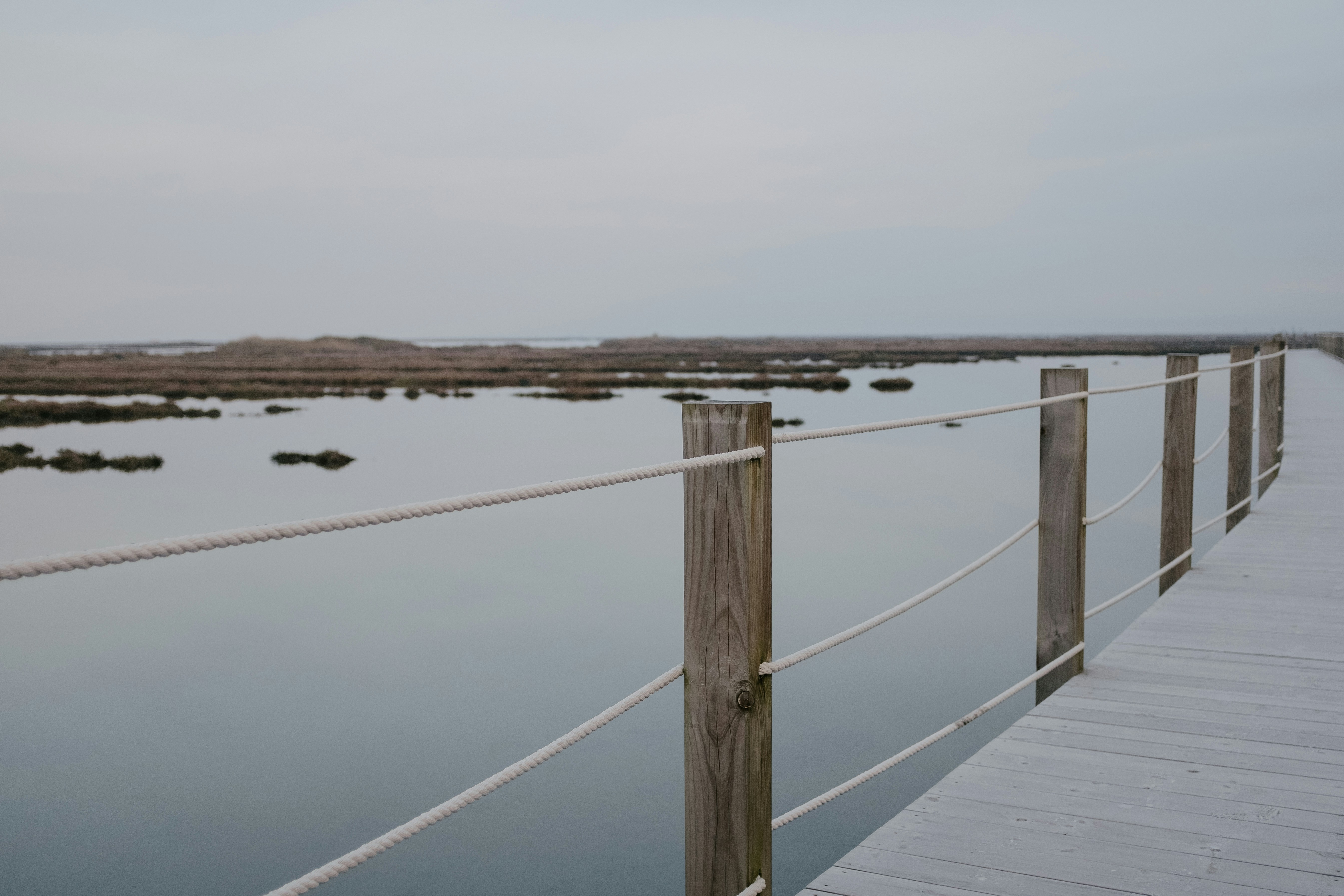 A Quiet Boardwalk Over Tidal Glass