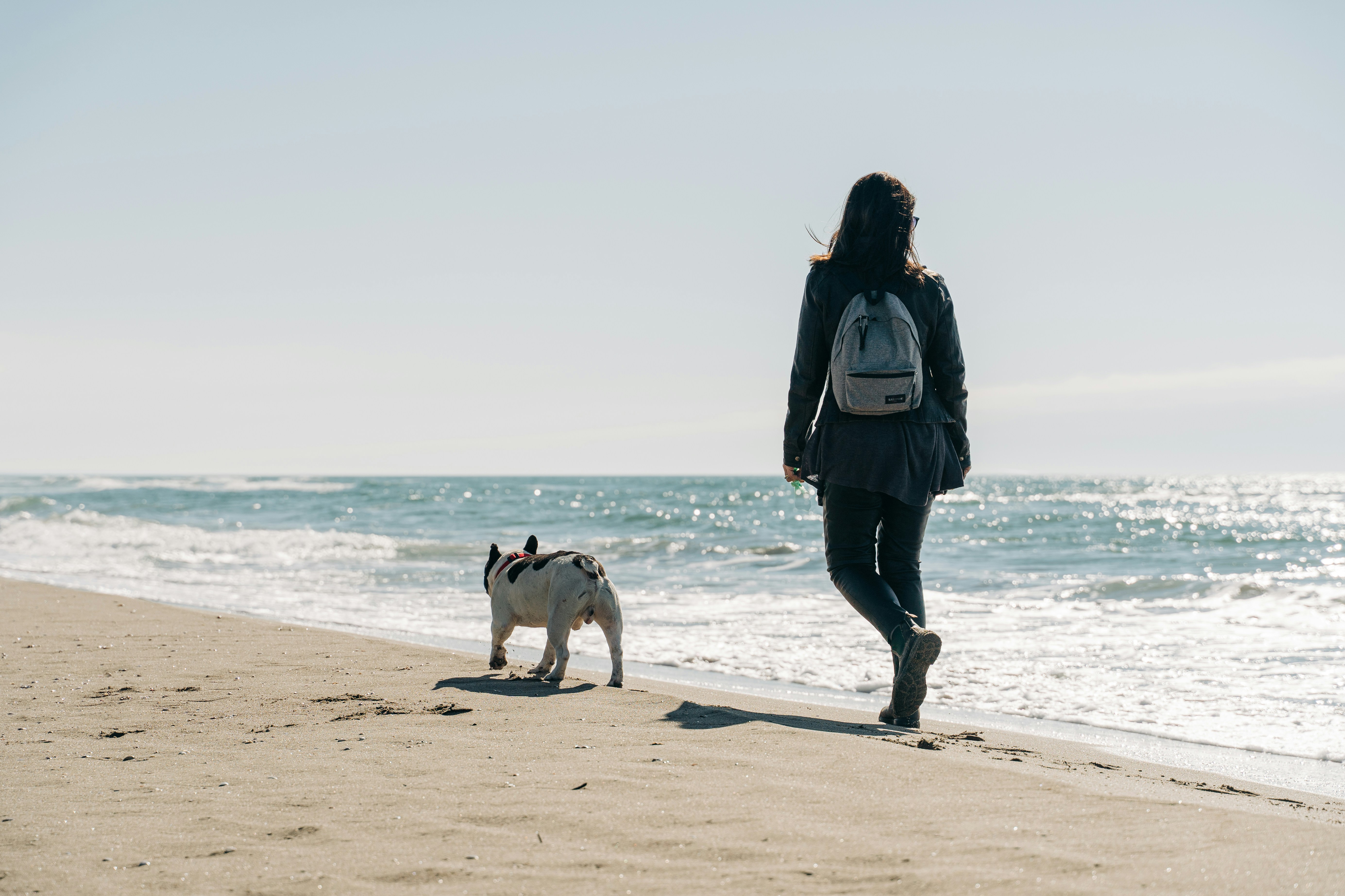 Coastal Stroll: A Lone Traveler and Dog on Quiet Seashore