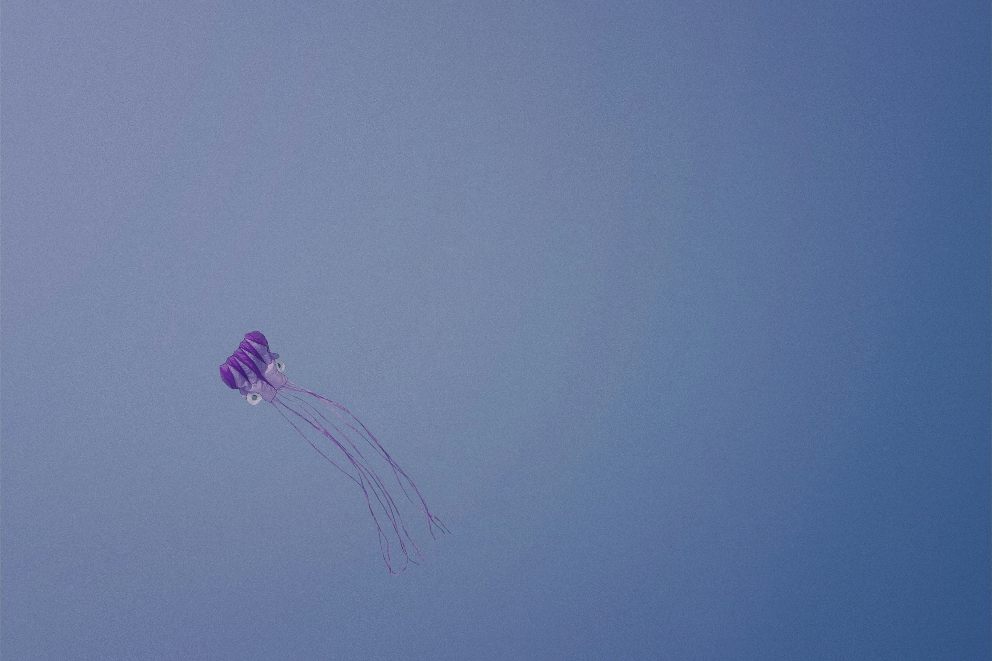 A vibrant purple jellyfish gliding gracefully against a serene blue sky, capturing the essence of whimsy and freedom.