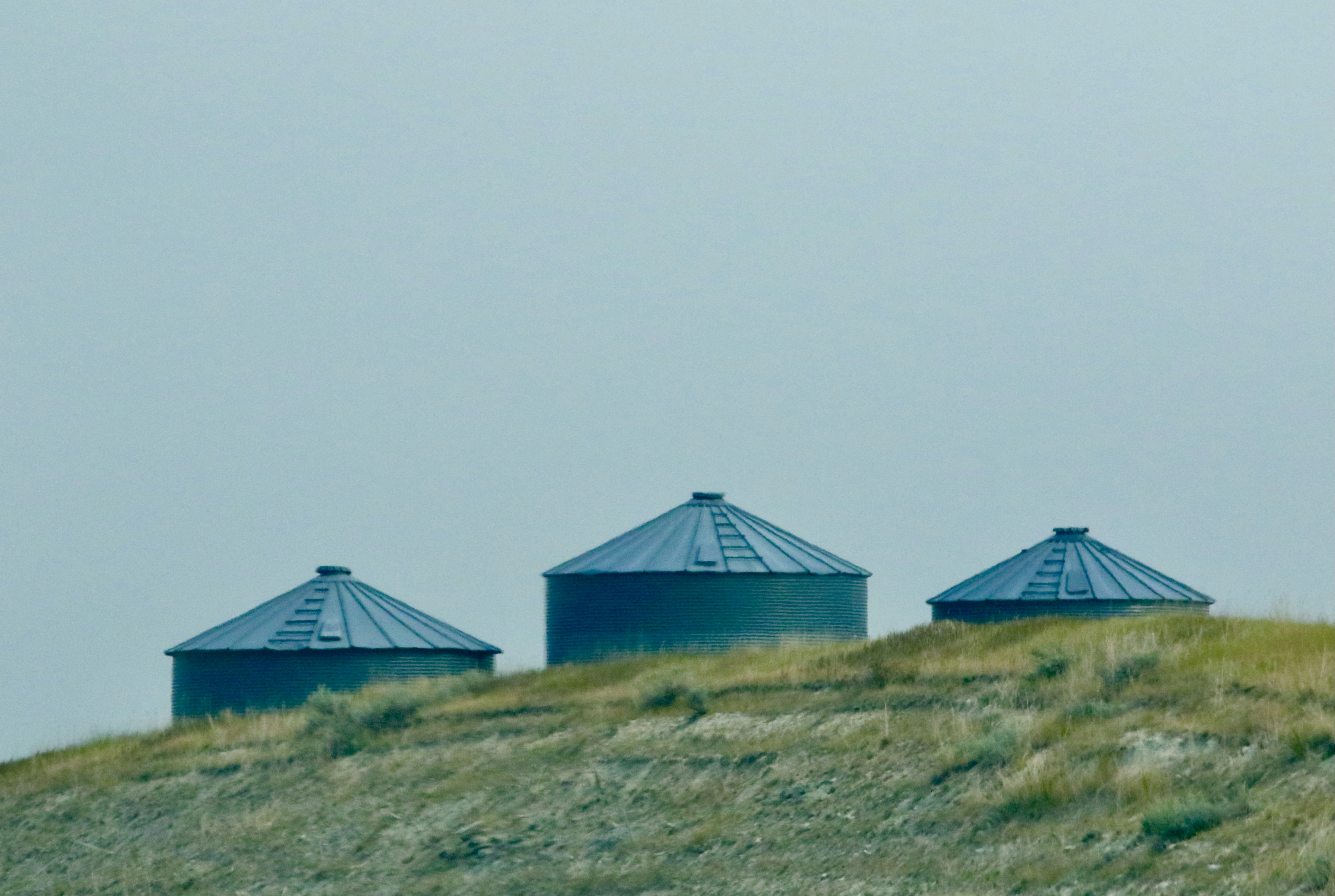 Foto Tienda azul y blanca en campo de hierba verde bajo cielo azul ...
