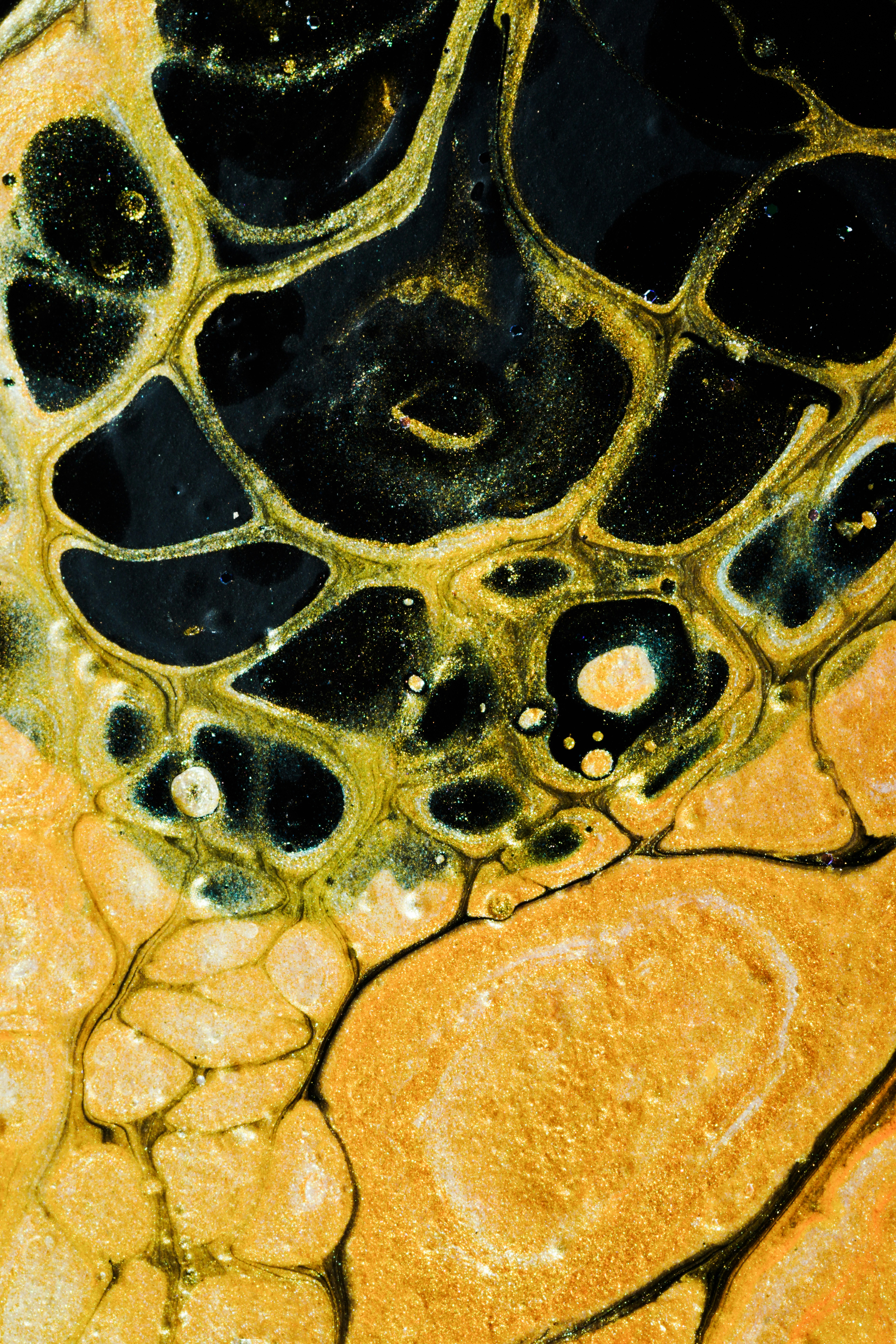 Golden Veins Mosaic: Macro Portrait of Lava-Glow and Void