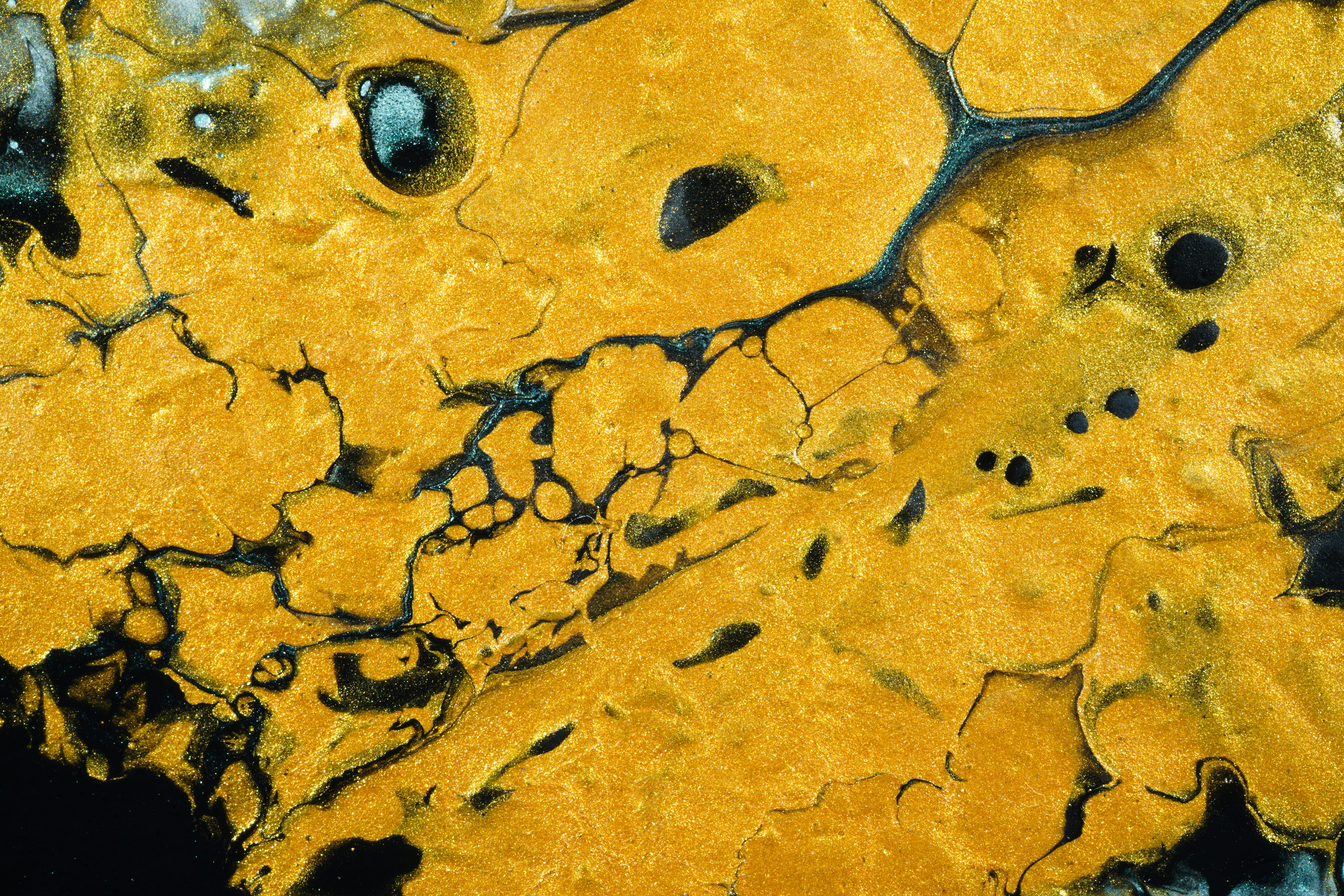 Gold and platinum gradient fluid art on black base