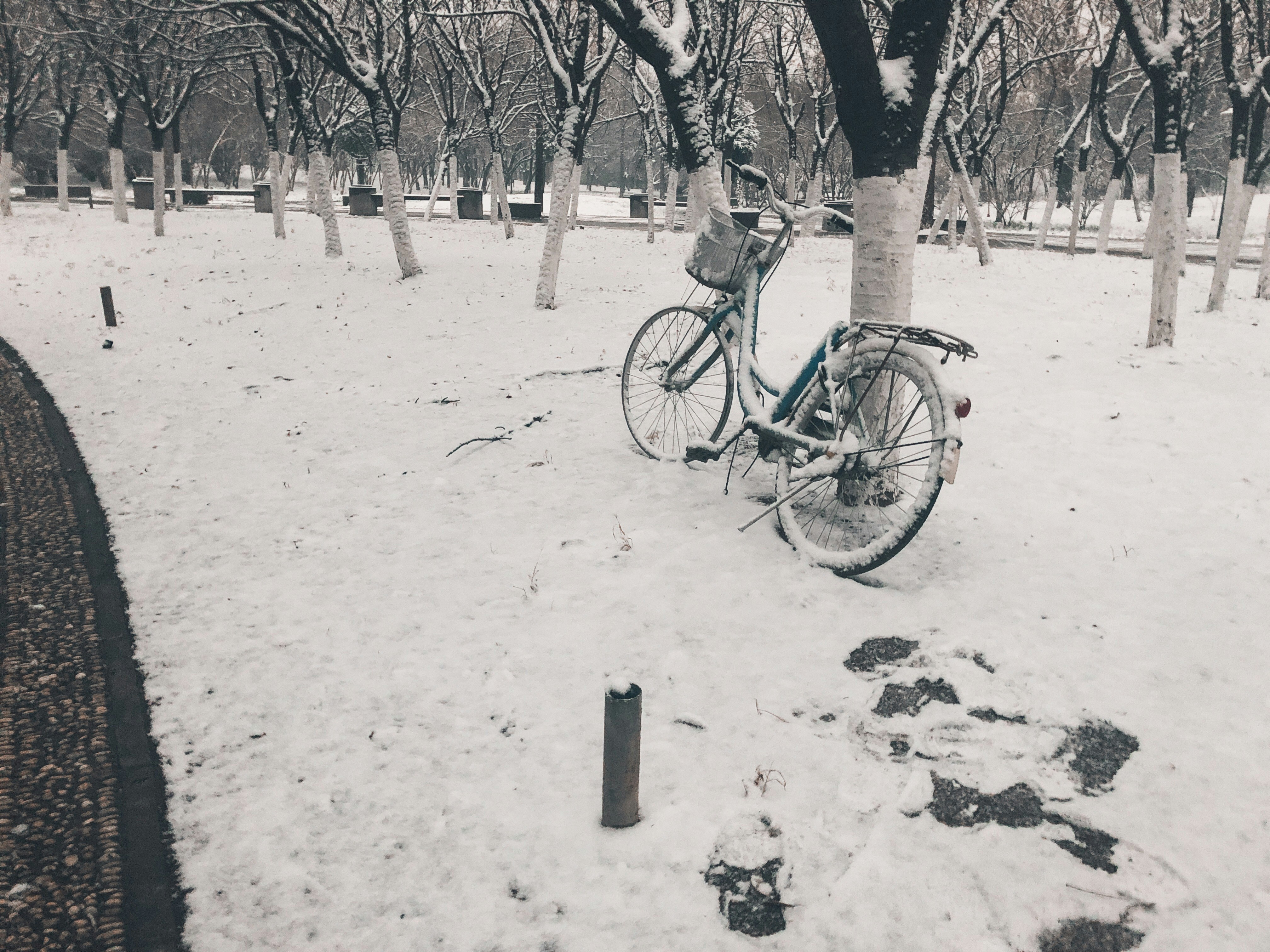 A vintage bicycle rests in a snow-covered park, surrounded by bare trees, evoking a sense of solitude and nostalgia.