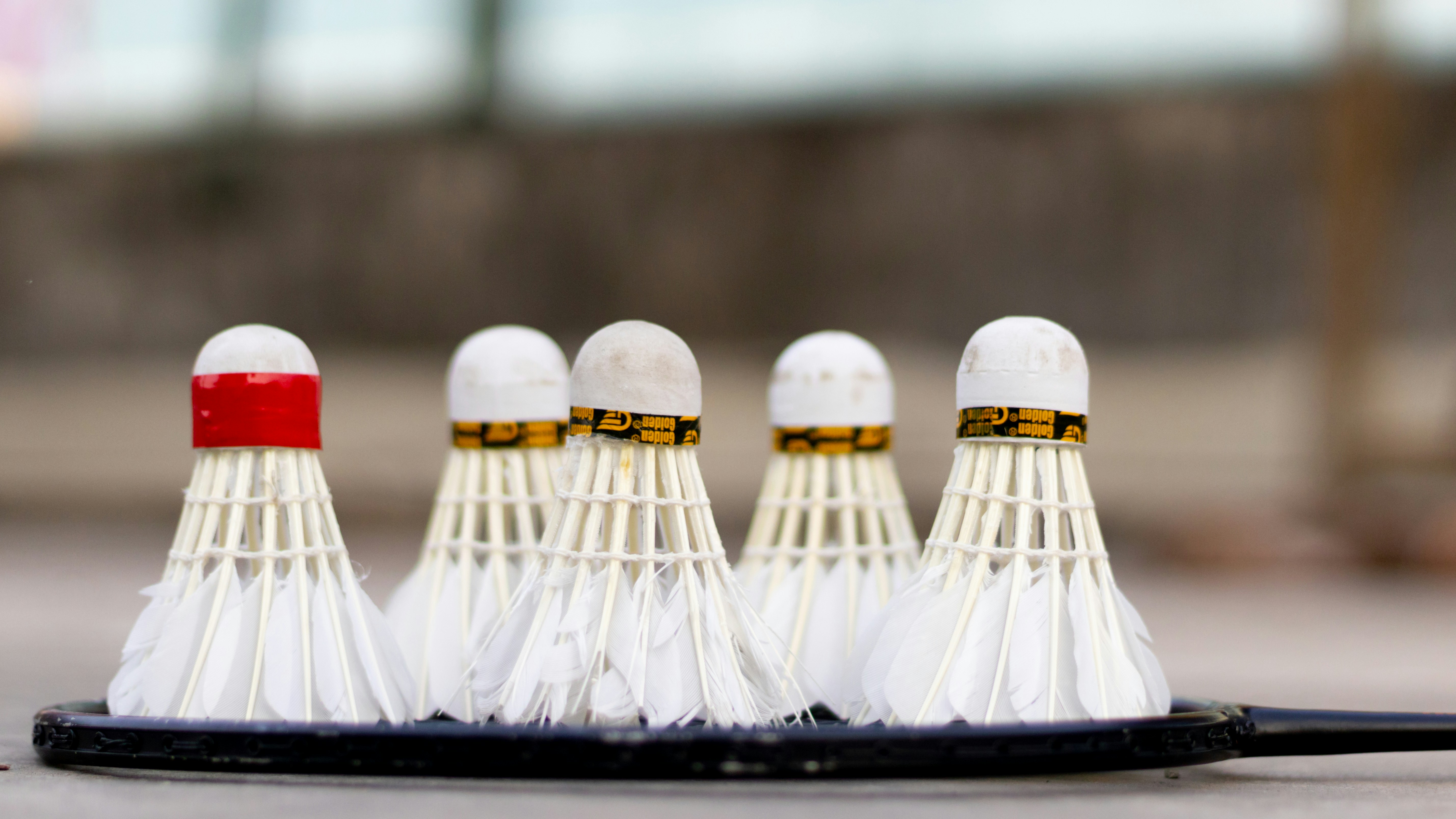 Closeup shot at multiple badminton shuttlecocks.