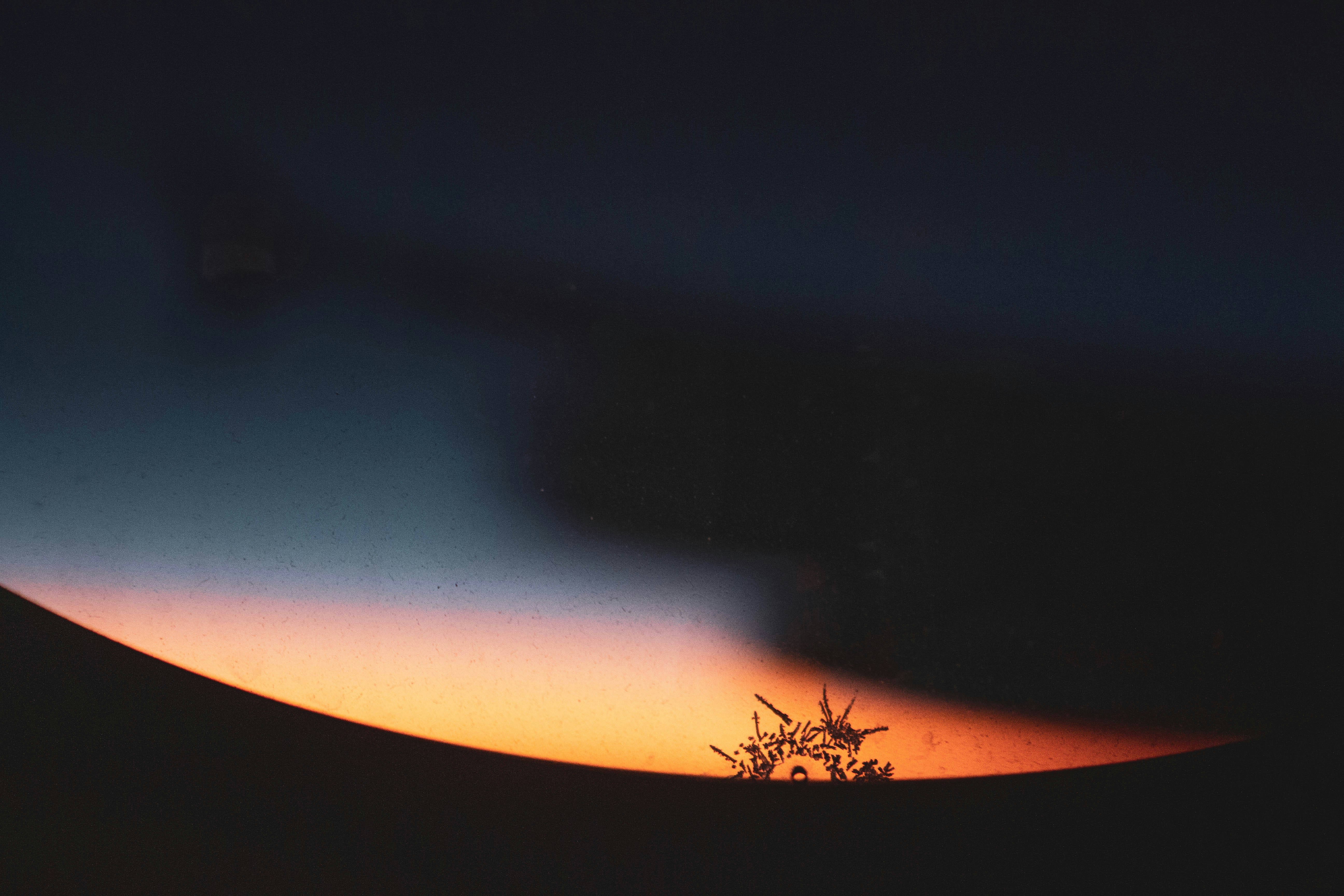Arc Horizon: Tree Silhouette Under a Dusk Curve
